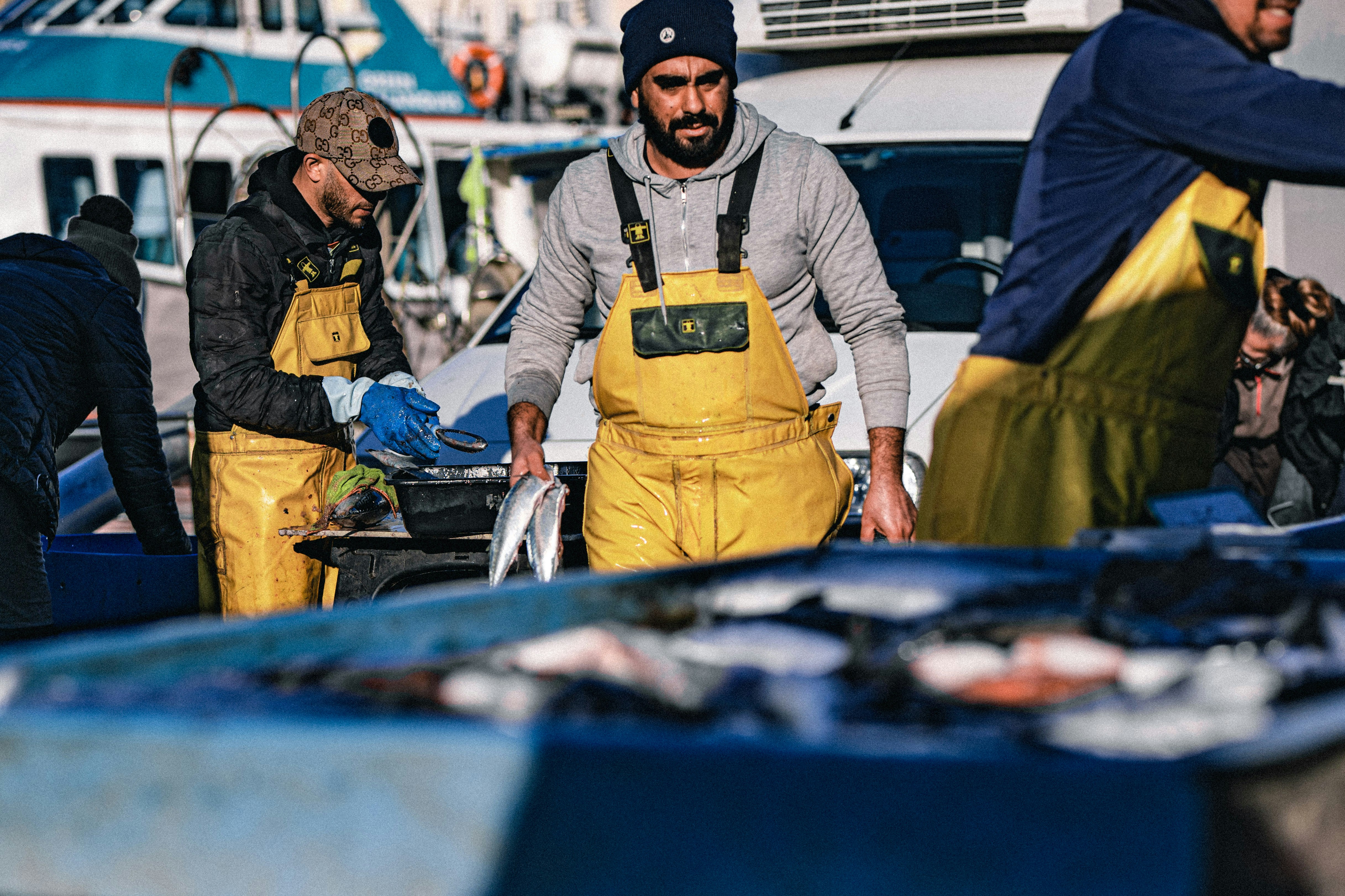 Yellow Aprons, Cold Steel: Fishermen at Work in the Harbor