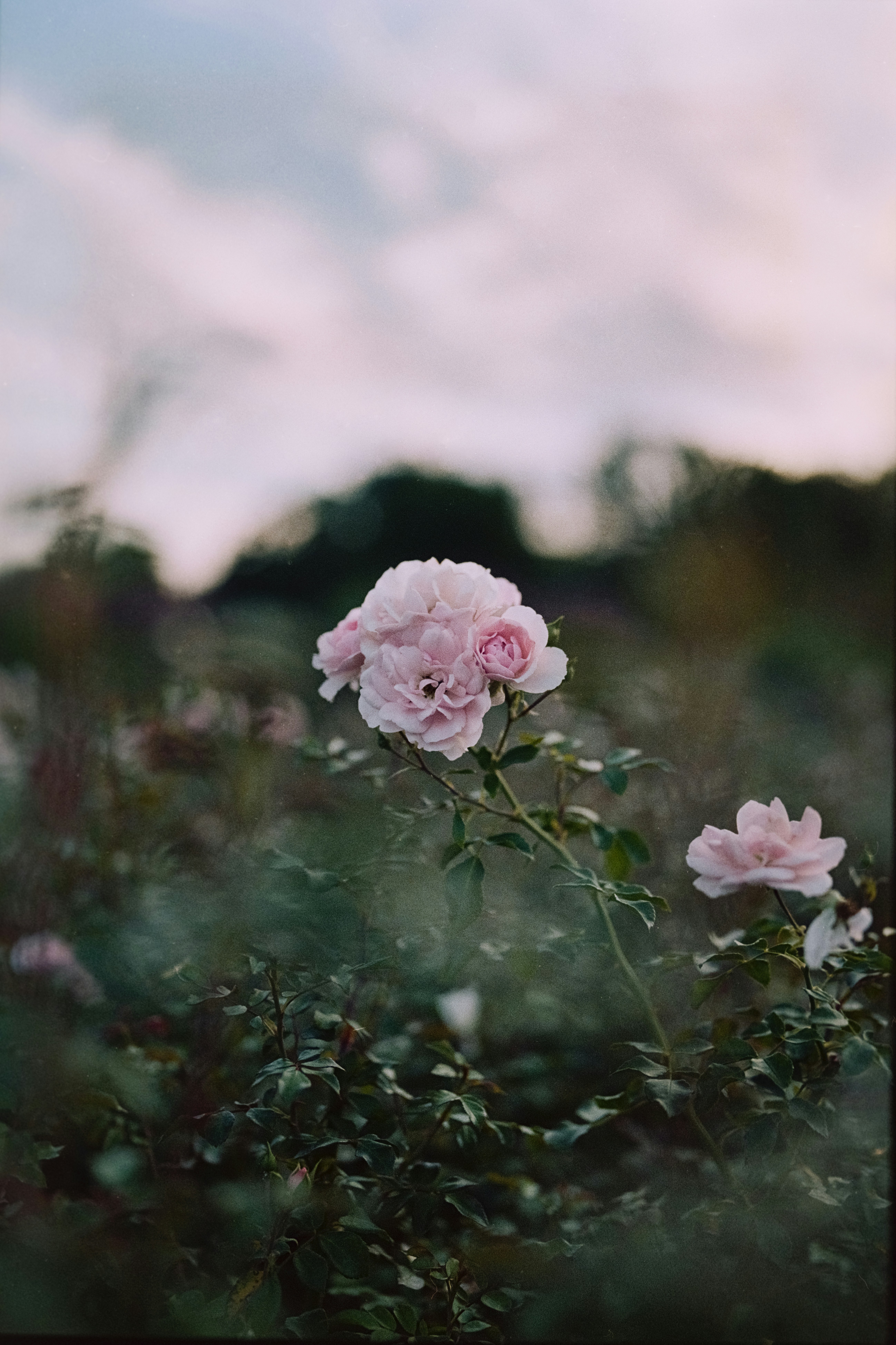 Photo by Philipp Degenhardt with Nikon Z9