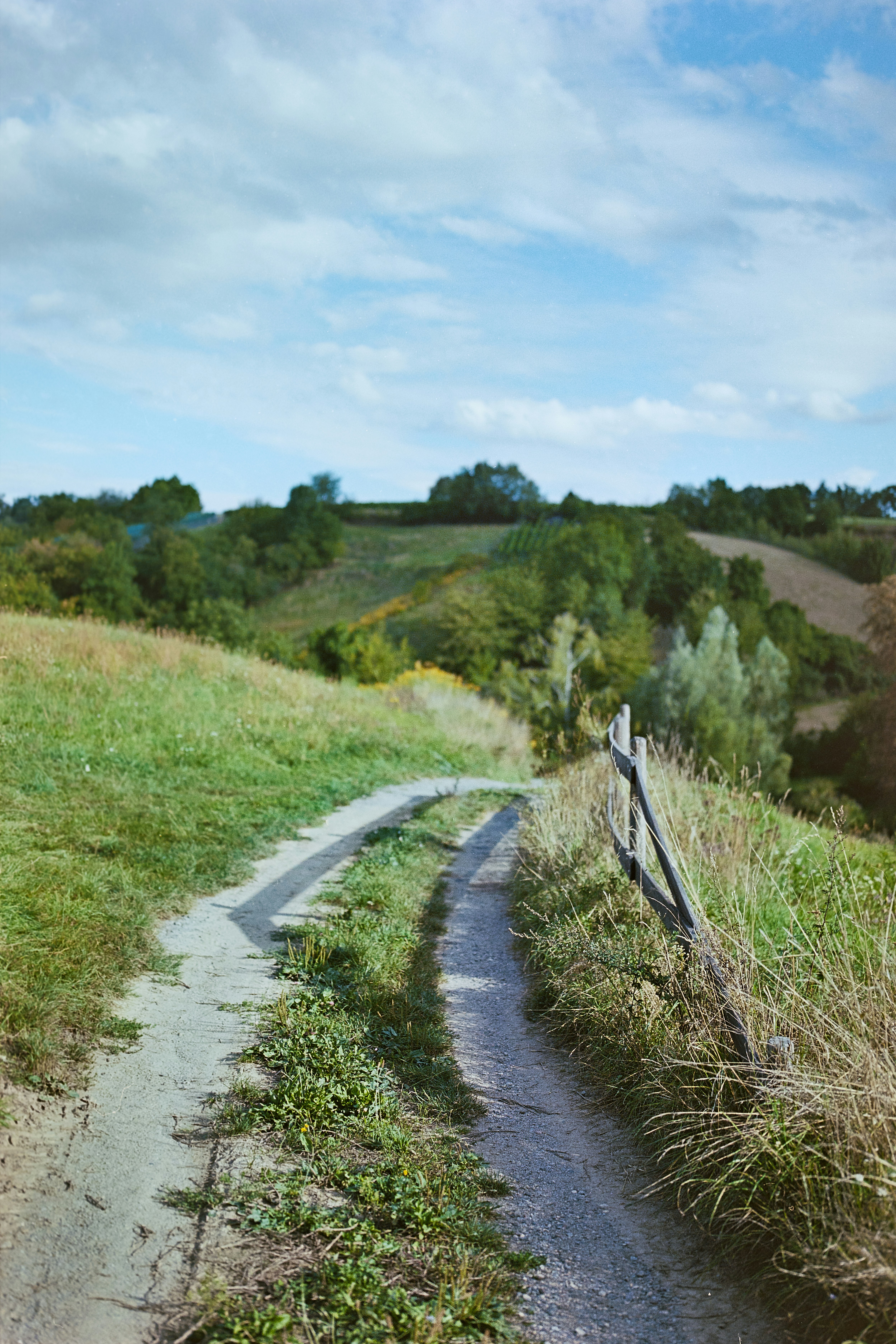 Photo by Philipp Degenhardt with Nikon Z9