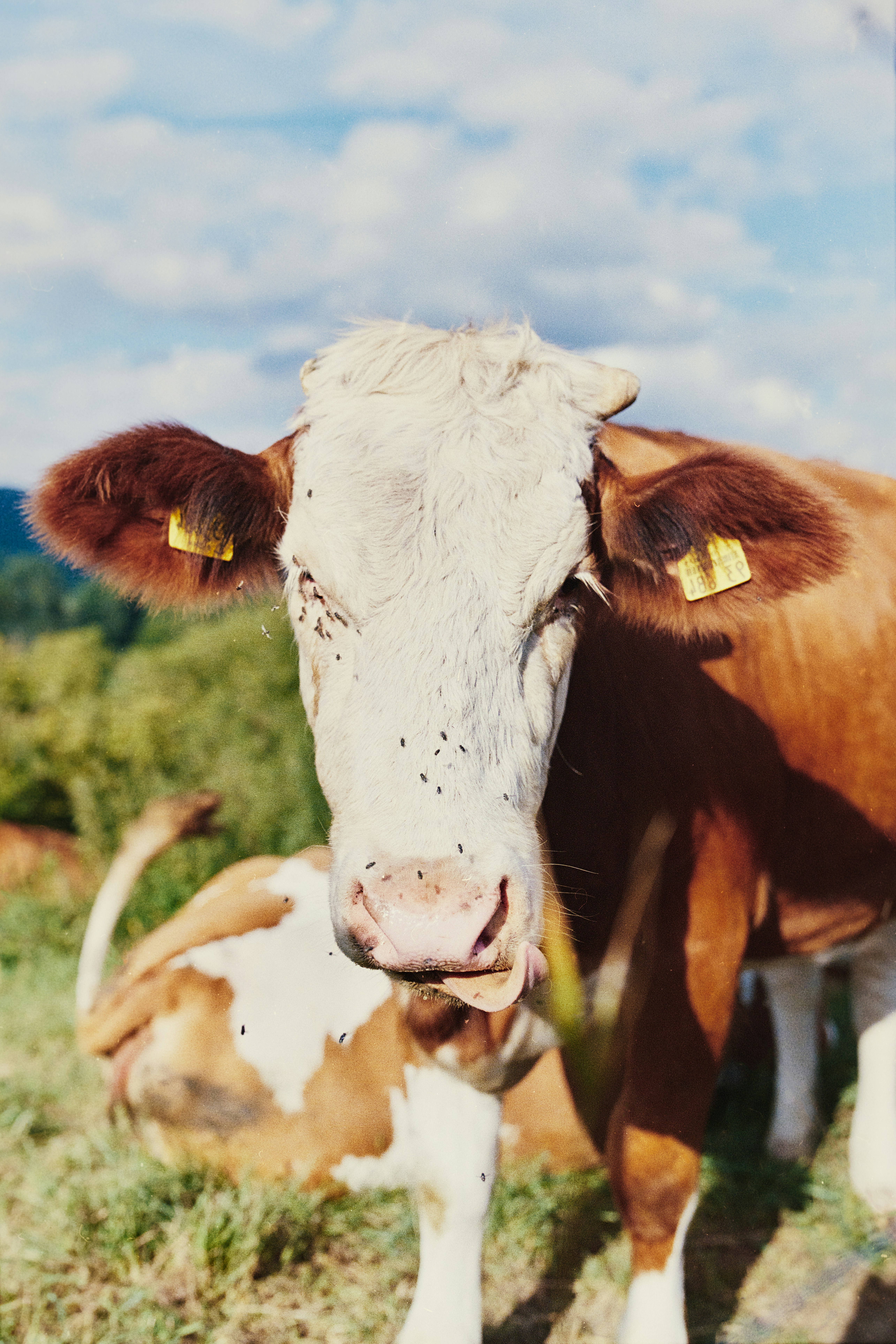 Photo by Philipp Degenhardt with Nikon Z9