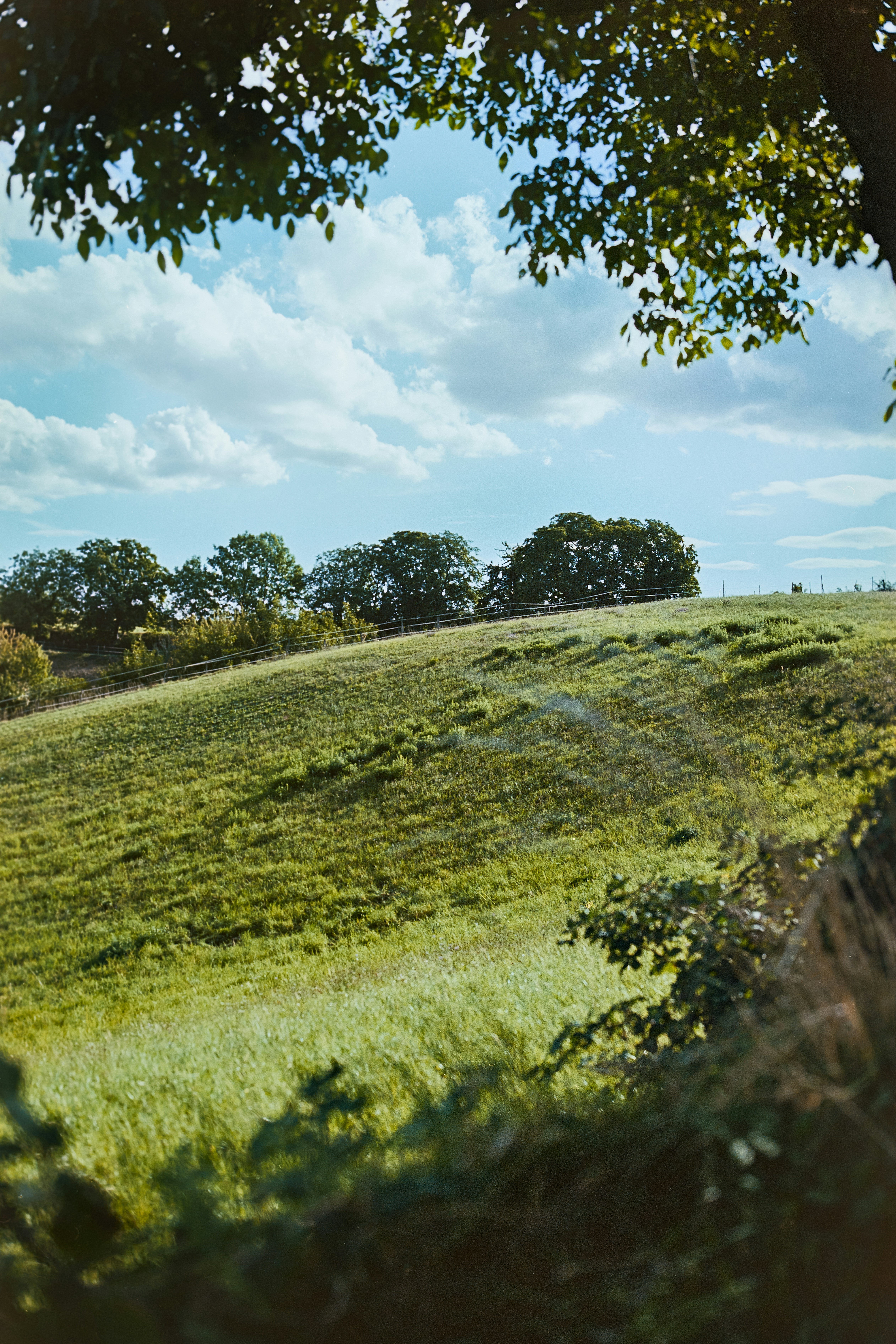 Sunlit Slope Beyond the Crest