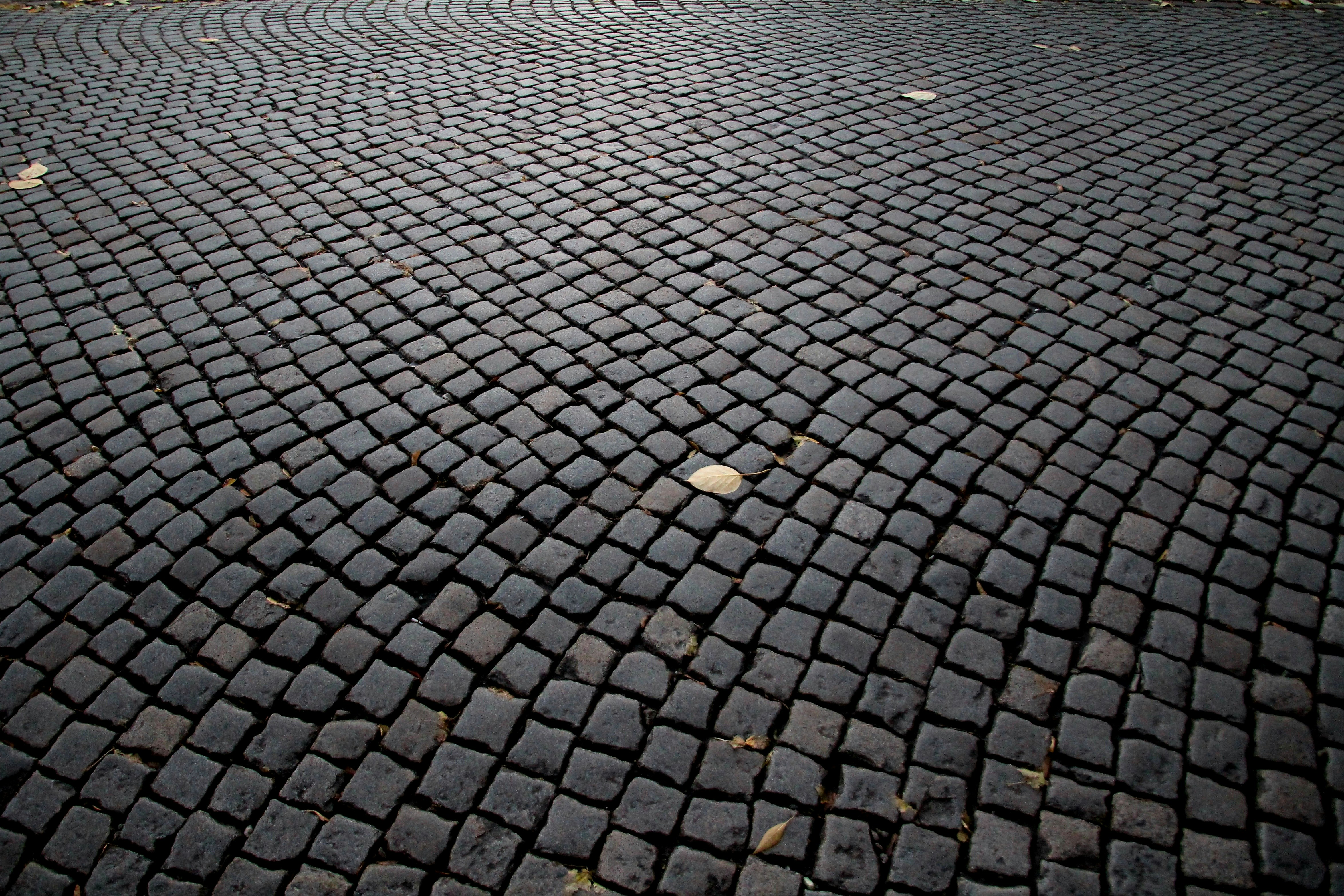 Dark cobblestone pavement with a single light stone. photo – Free ...