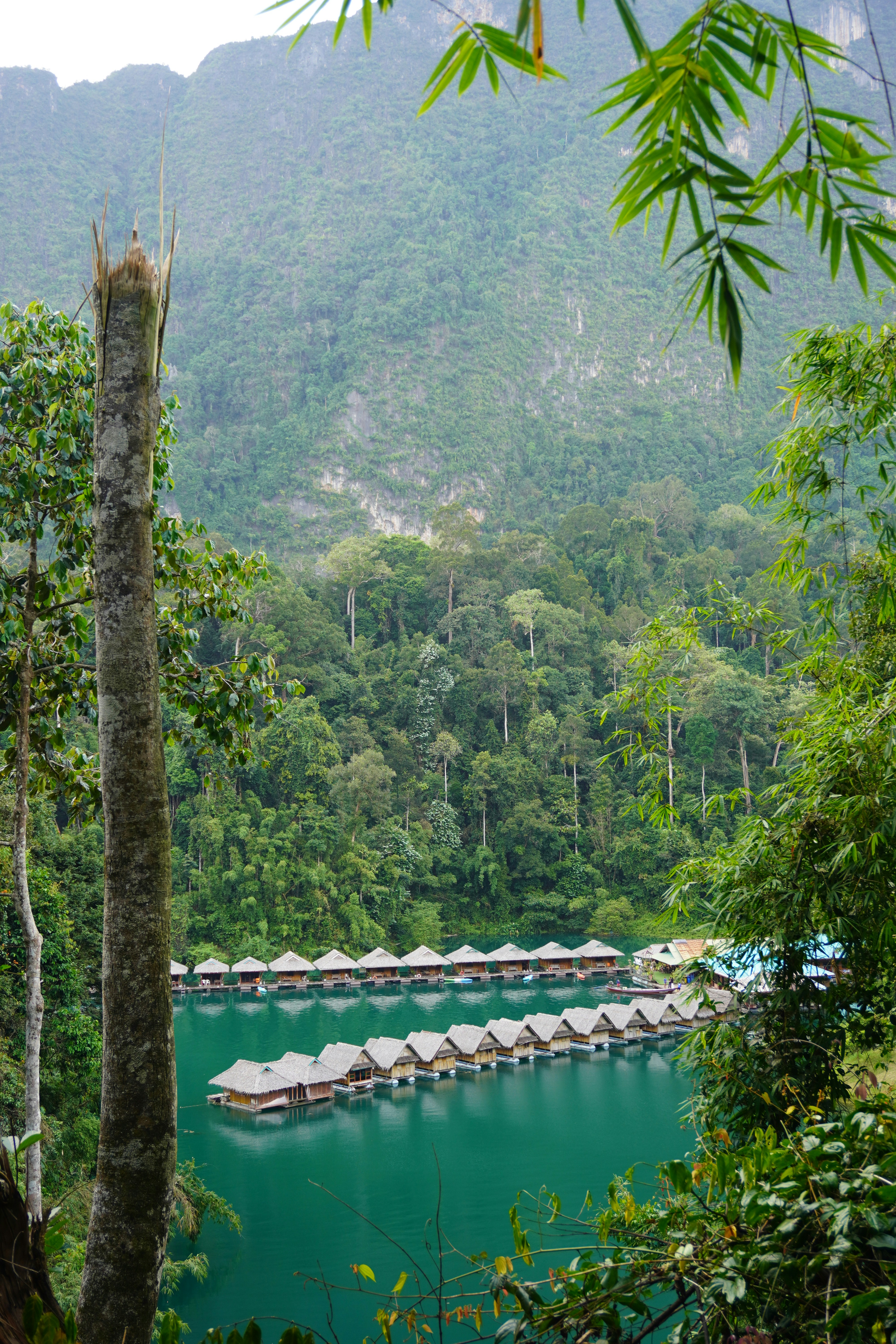 Floating Dables of Tranquil Lagoons