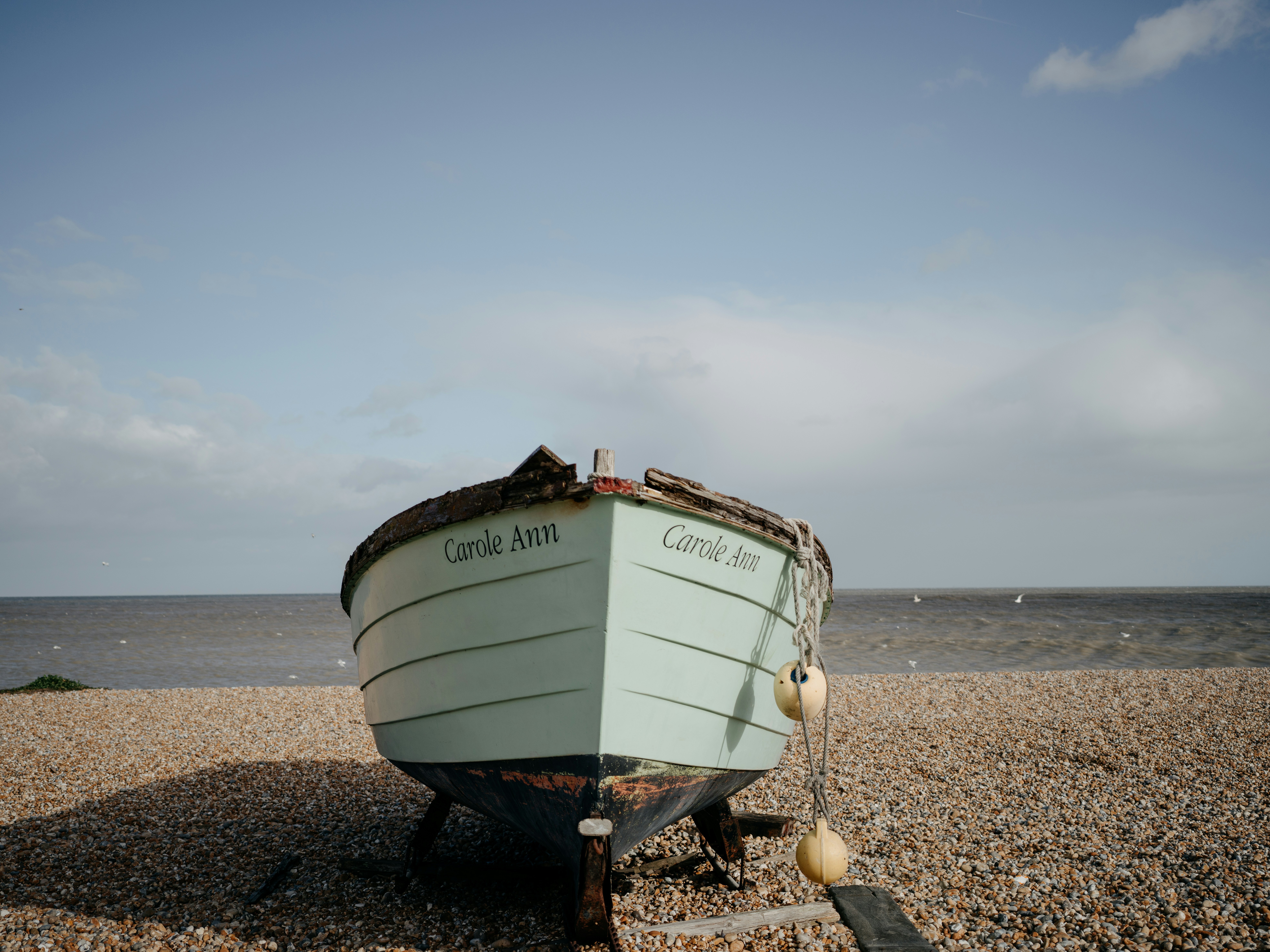 Photo by Annie Spratt with Hasselblad 907X 50C