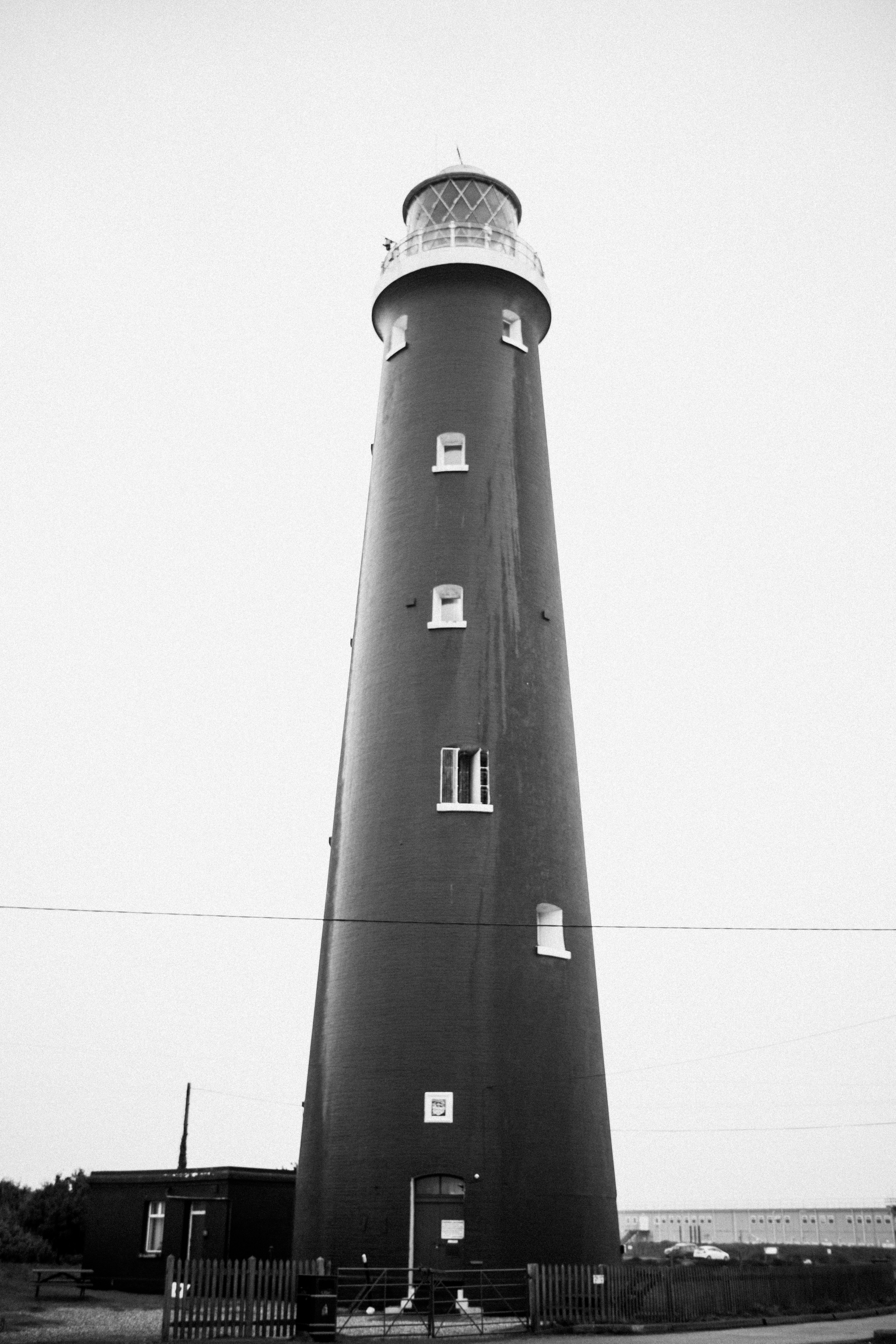 Photo by Annie Spratt with Nikon Z7