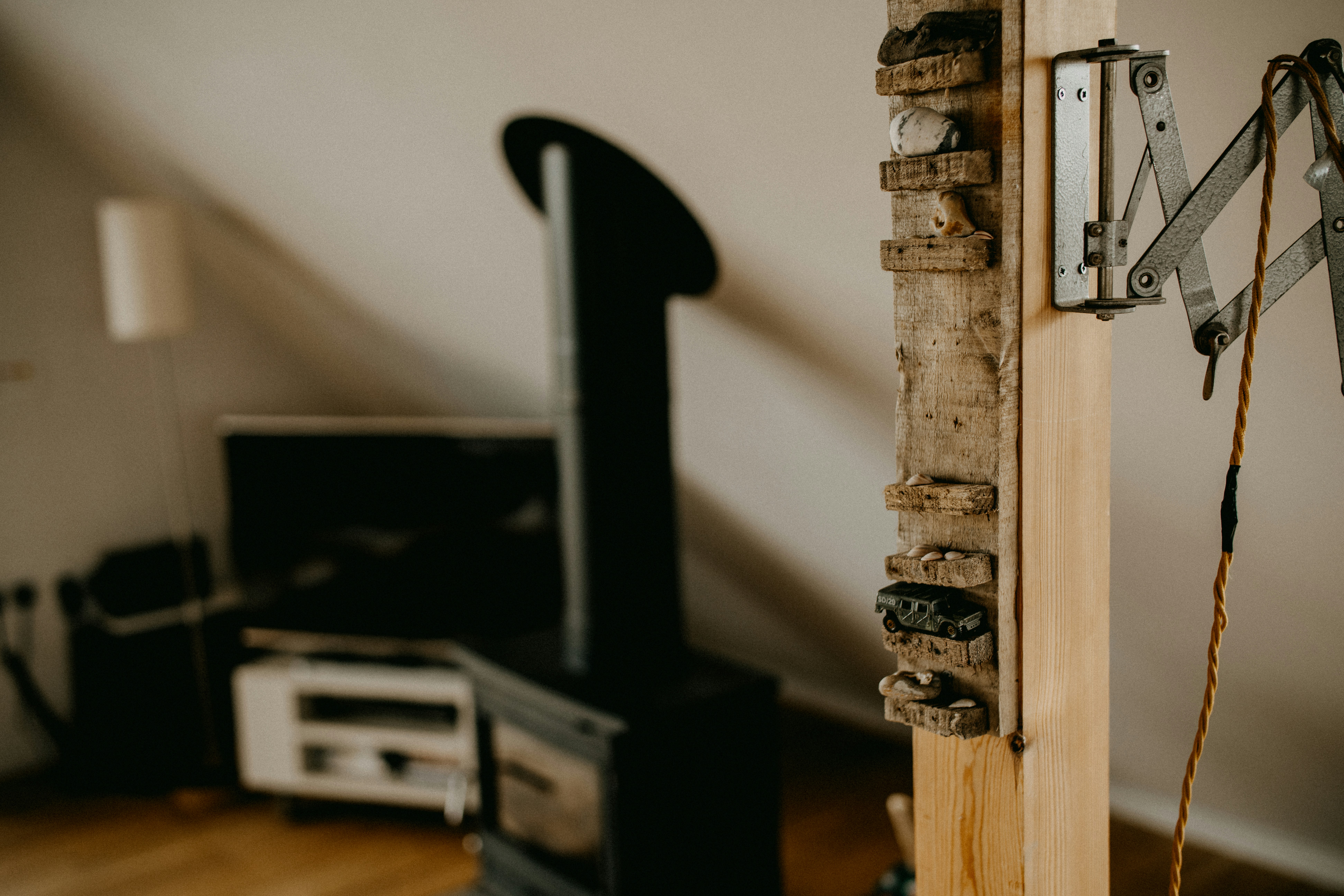 Photo by Annie Spratt with Nikon Z7