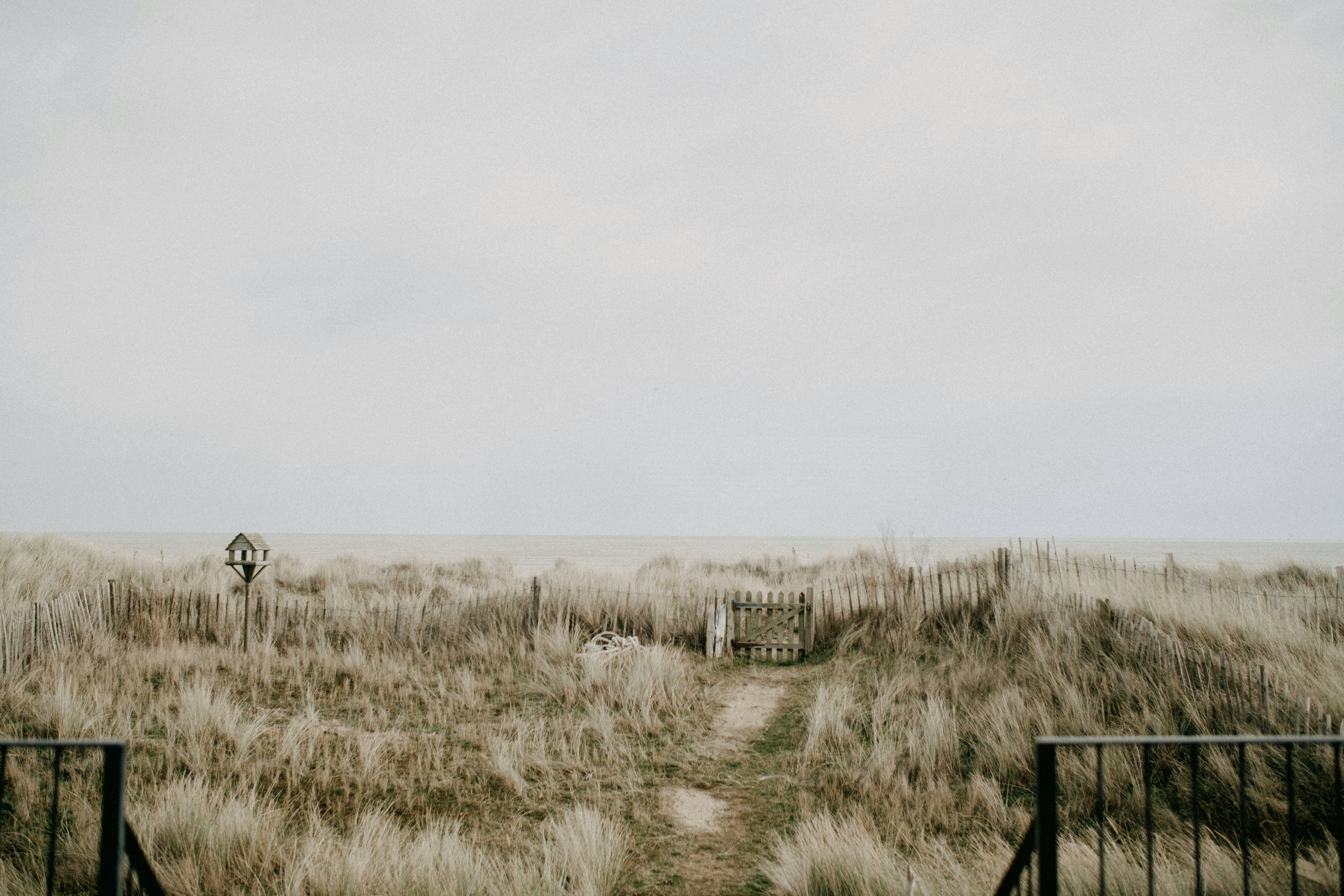 Photo by Annie Spratt with Nikon Z7