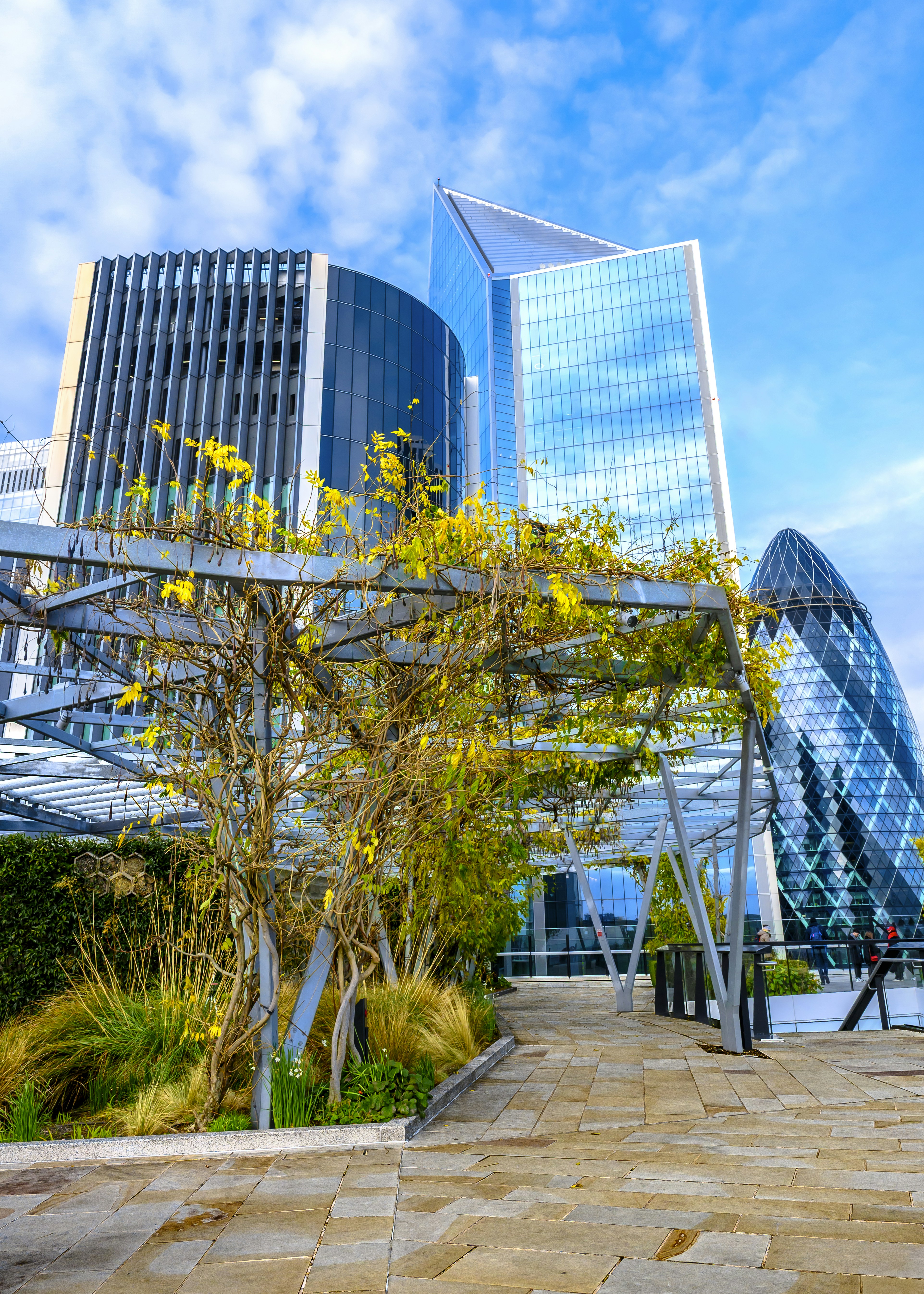 Urban Glass and Green Archway Framed by Sunlit Sky