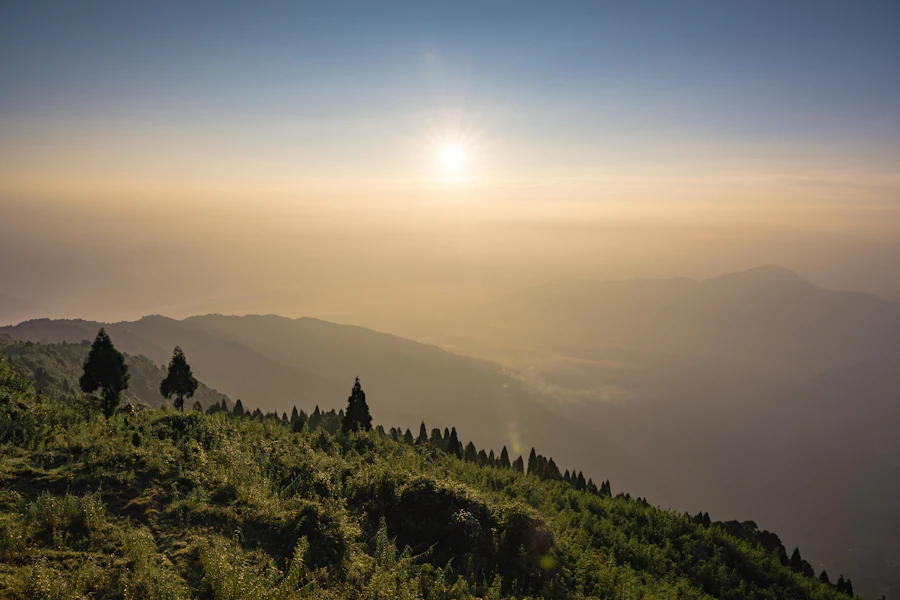 Sunlit hillside with scattered trees and a hazy horizon as the sun rises, casting warm tones over the valley.