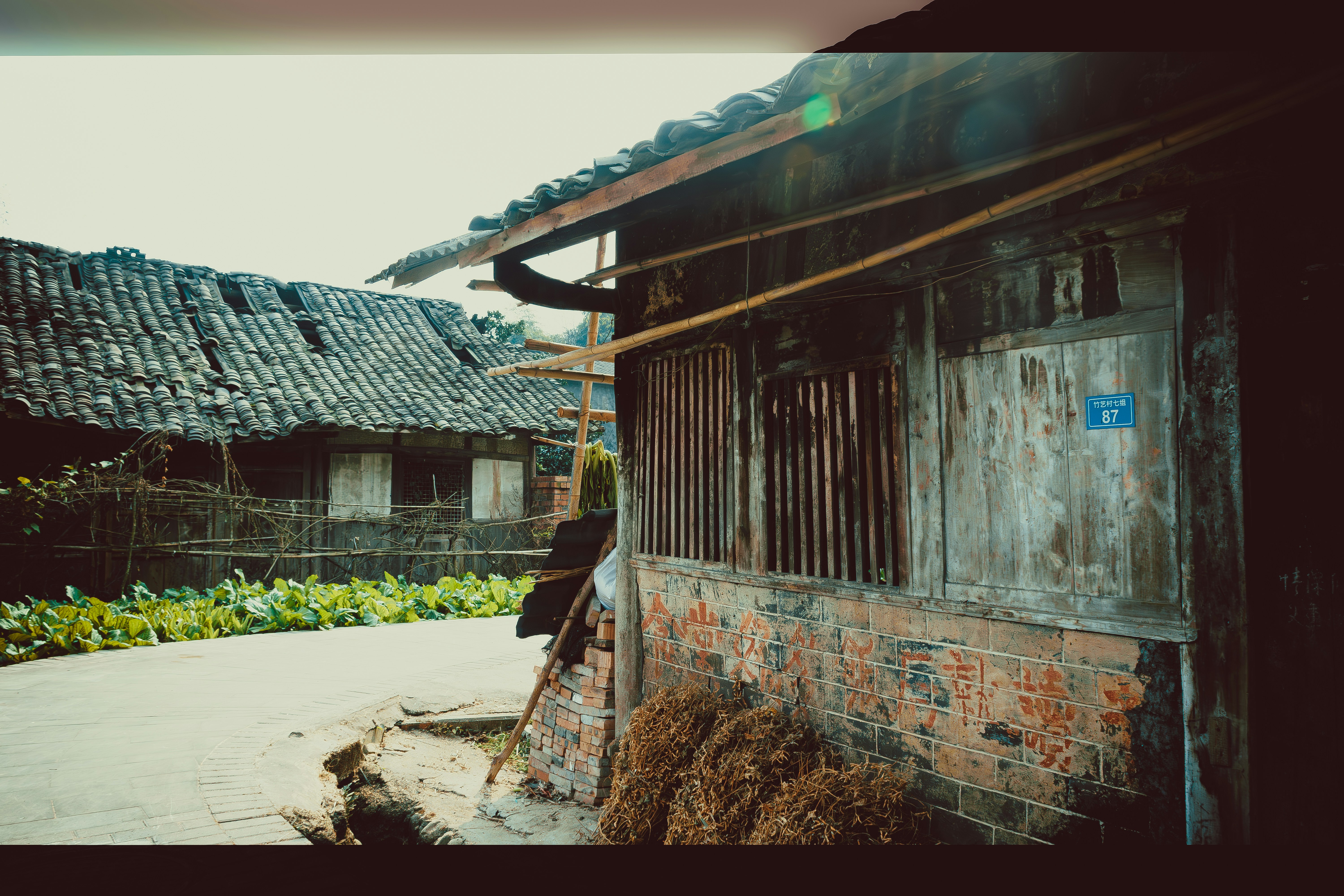 zai Dan (@danzai_ph) | Communauté photos Unsplash