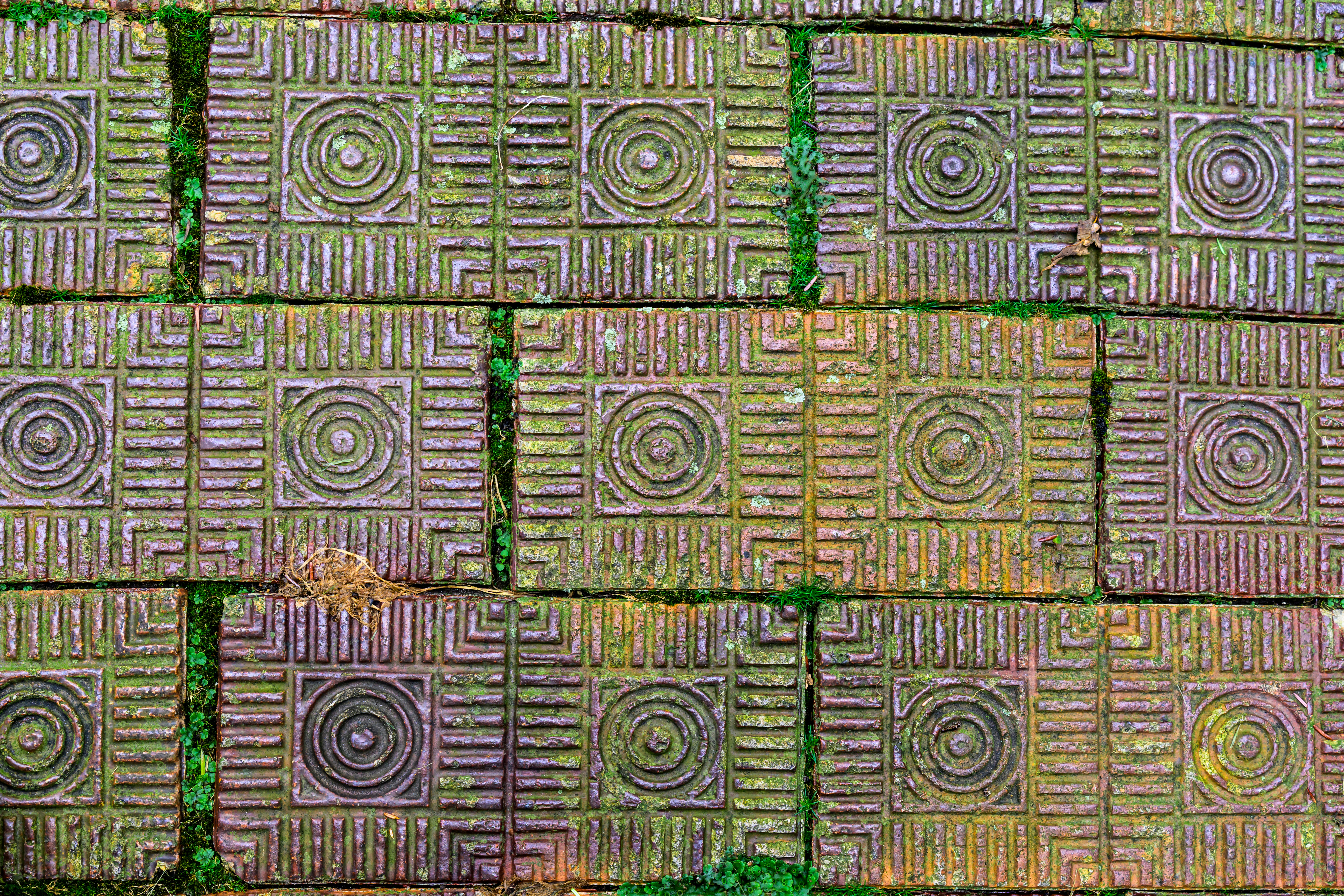 Textured brick wall with circular patterns and moss. photo – Free ...