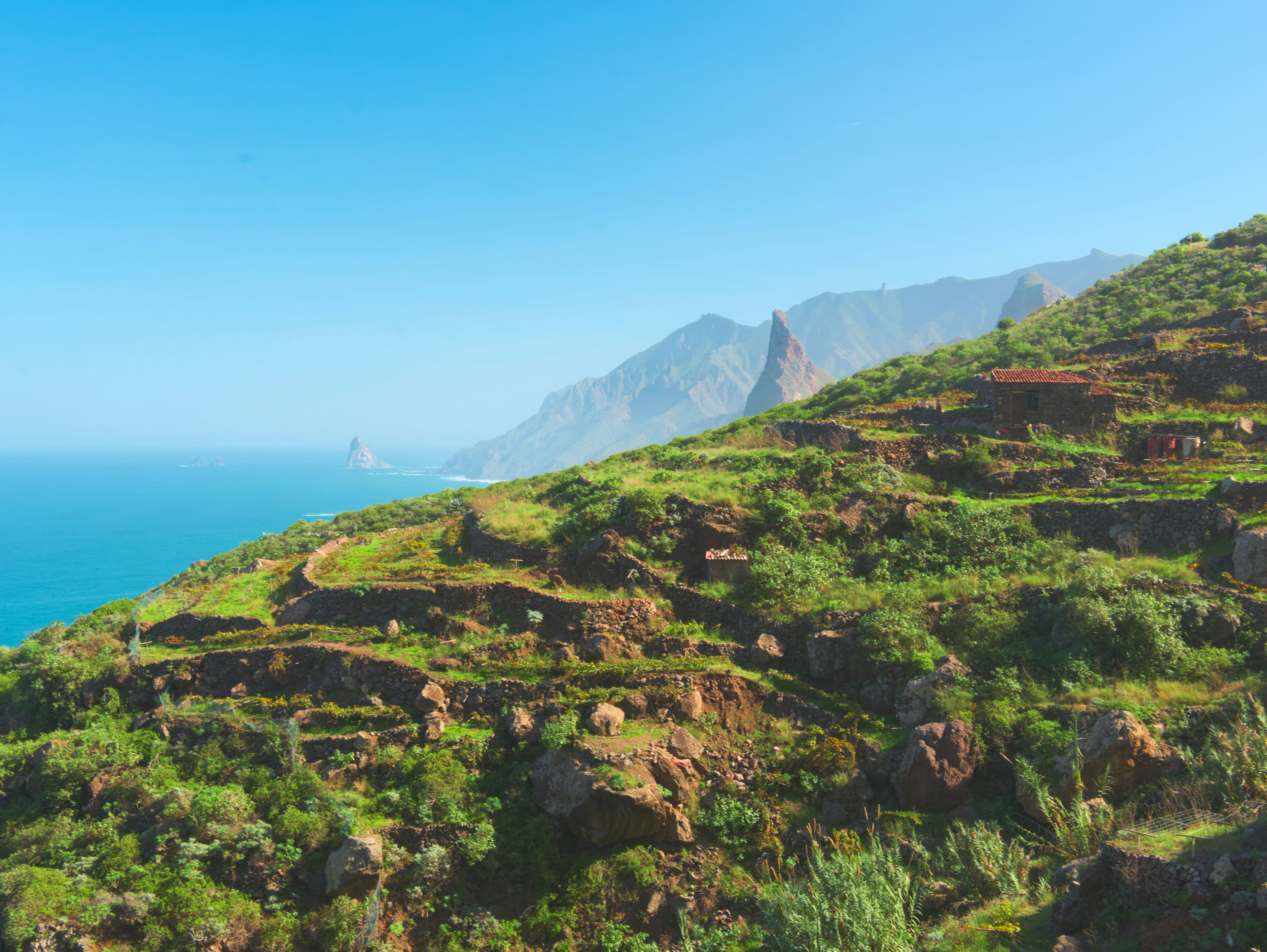 Terraced cliffs and blue horizon: sunlit coastal hillside