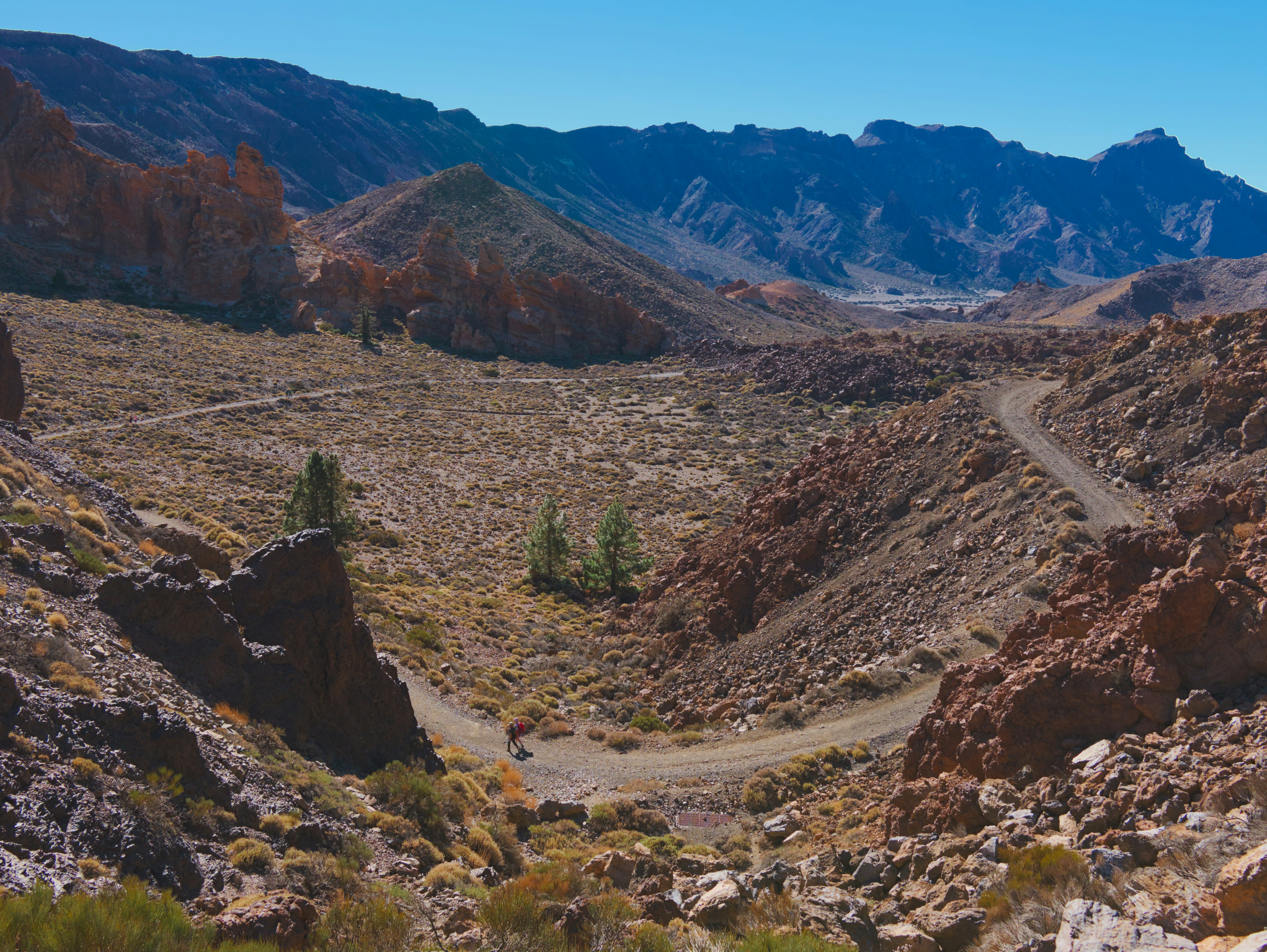 Rugged Valley Road Carves Through Desert Pines