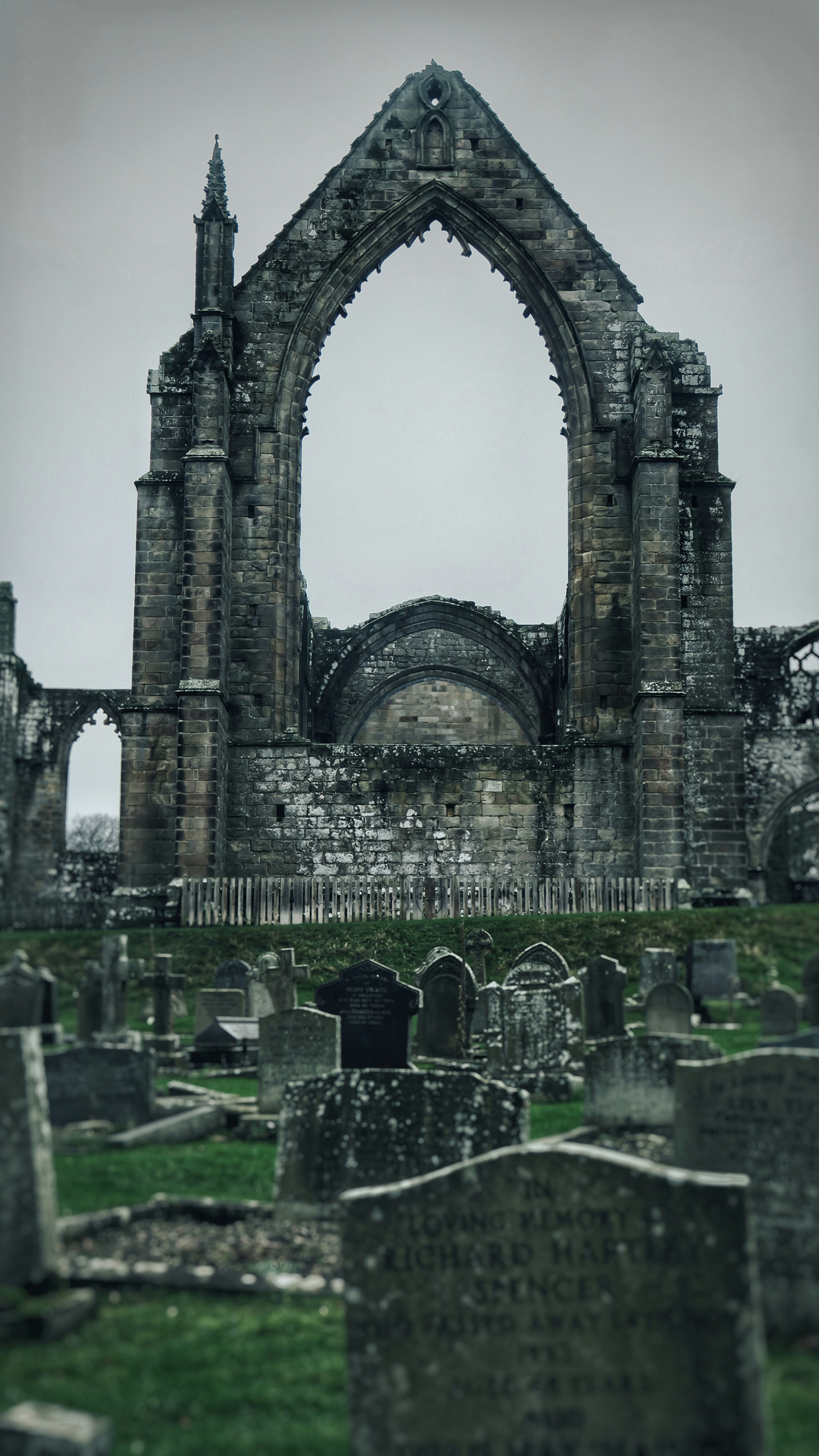 Archway of Time: A Ruined Abbey Gazes Over the Graveyard