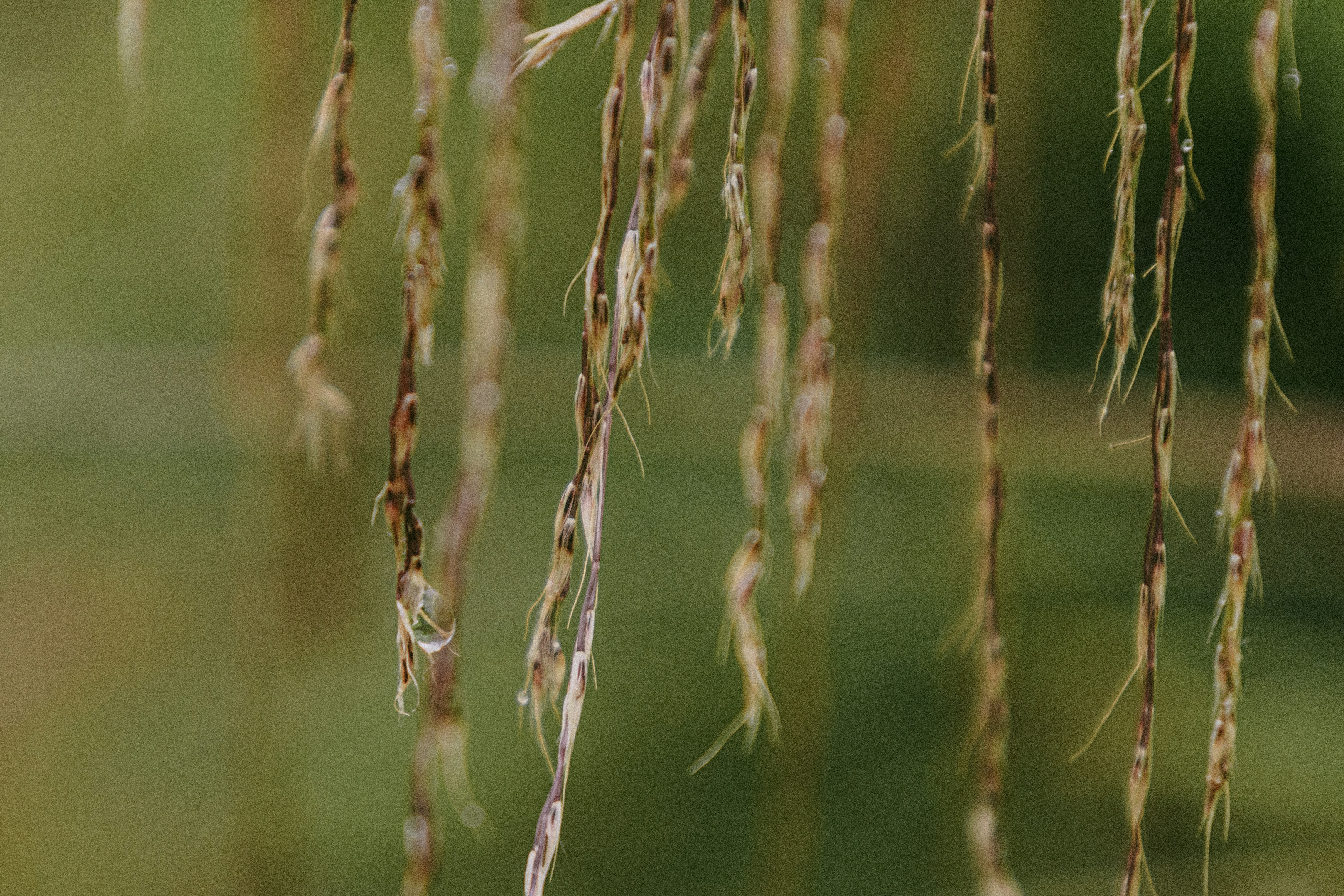 Photo by Lee Milo with Canon EOS R5