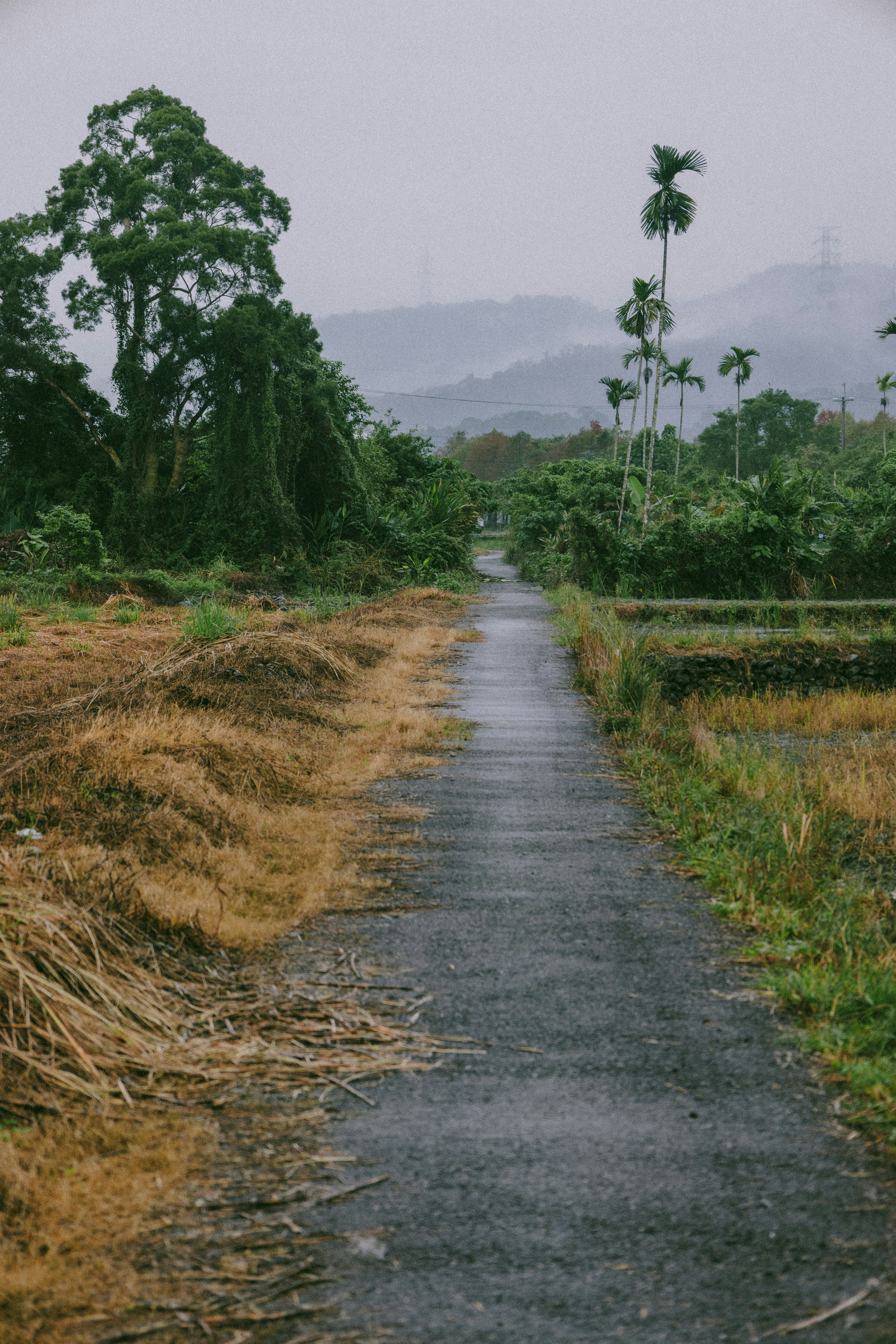 Photo by Lee Milo with Canon EOS R5