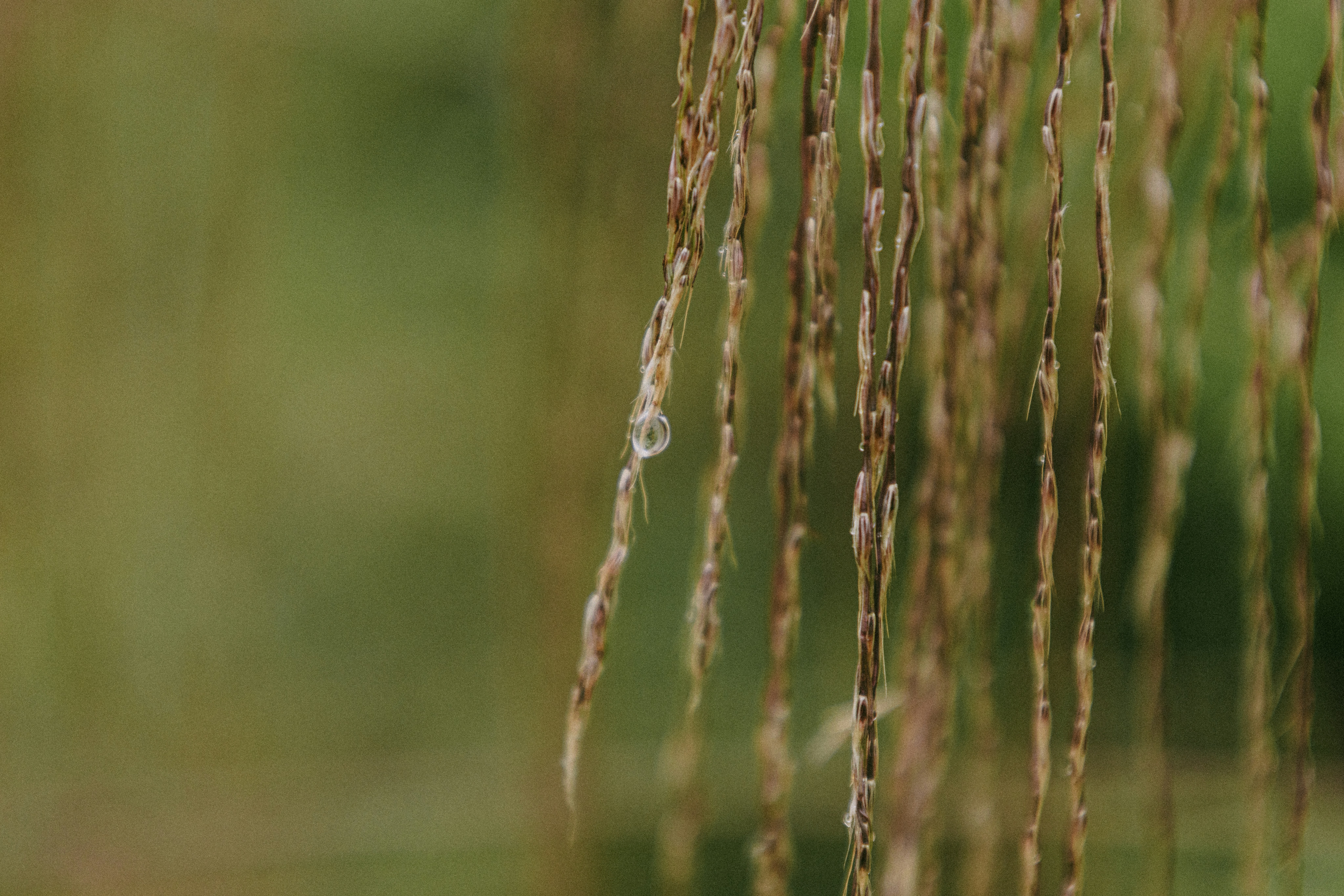 Photo by Lee Milo with Canon EOS R5