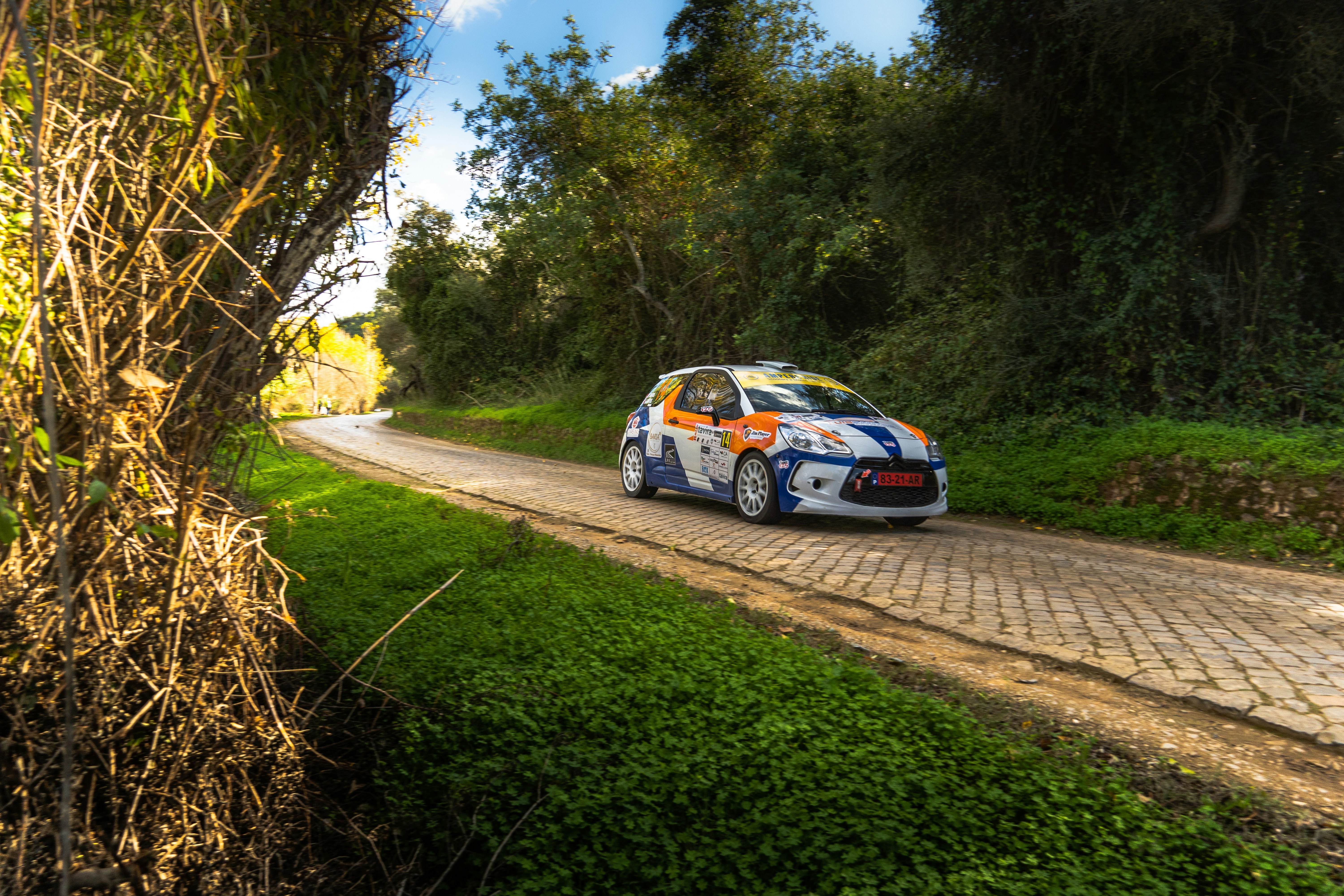 Rally Car Rounds a Sunlit Bend on a Cobblestone Road