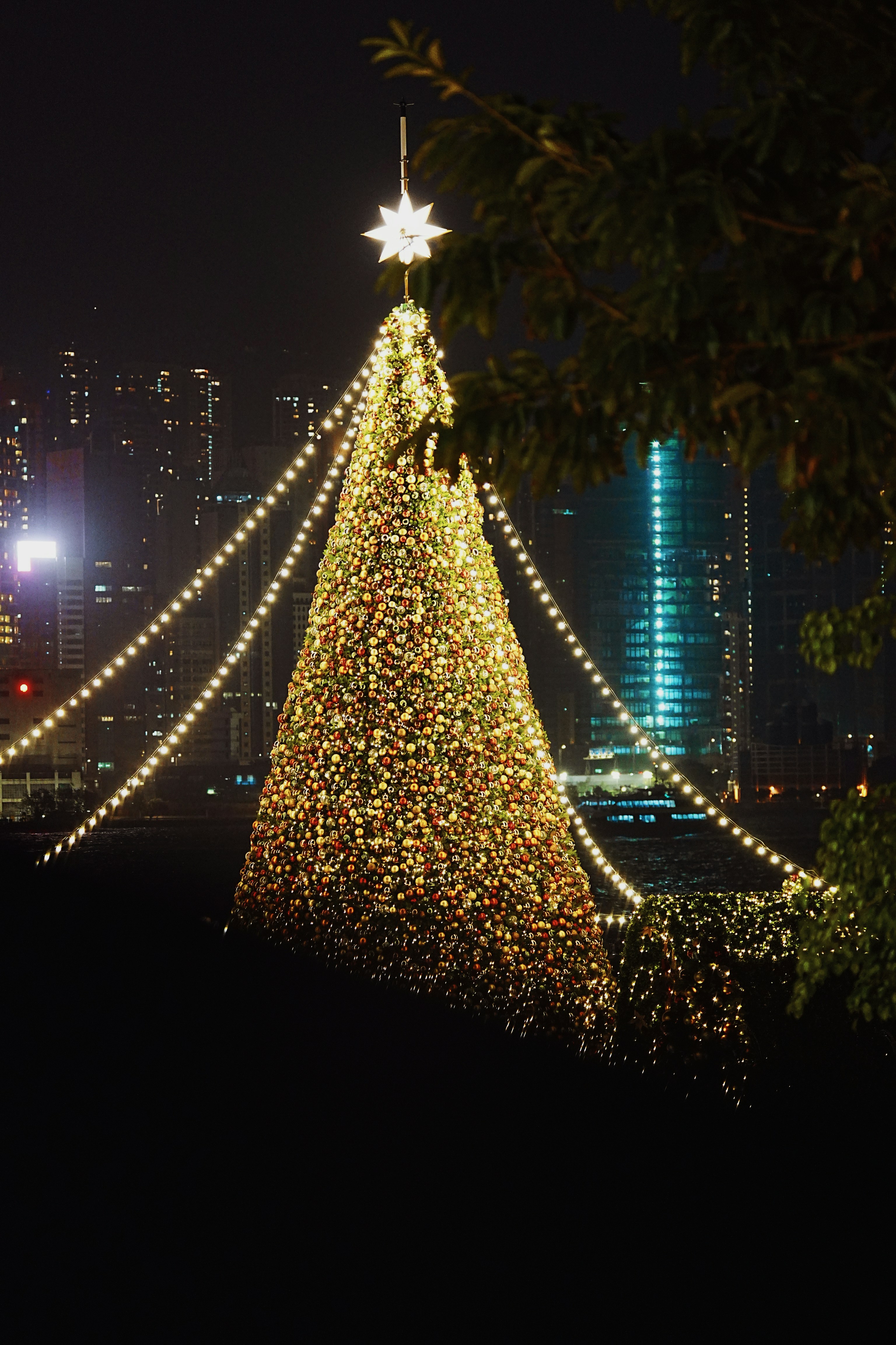 Midnight Christmas Tree on the Riverfront