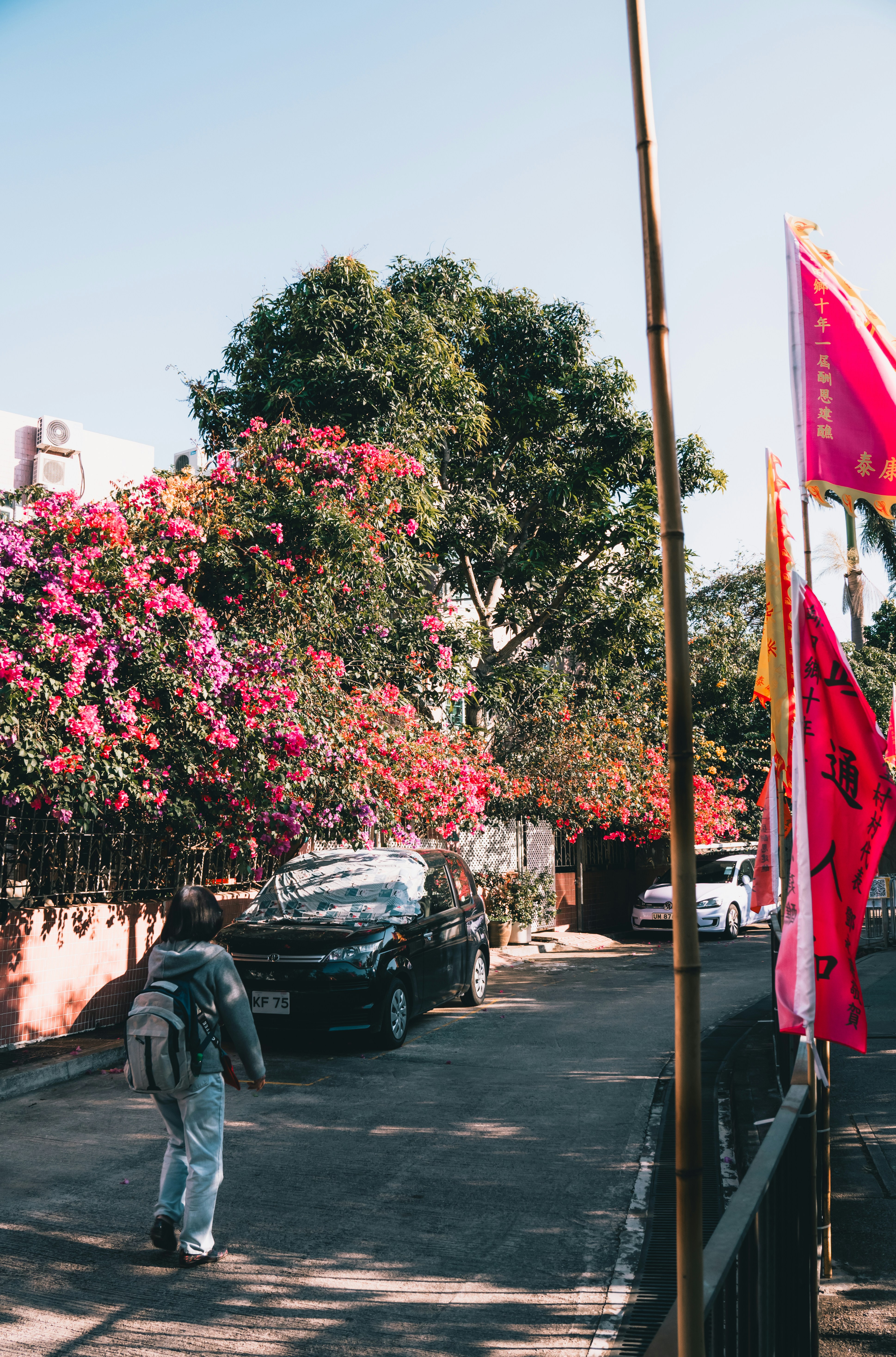 A lone pedestrian in a sunlit alley flanked by pink bougainvillea and banners
