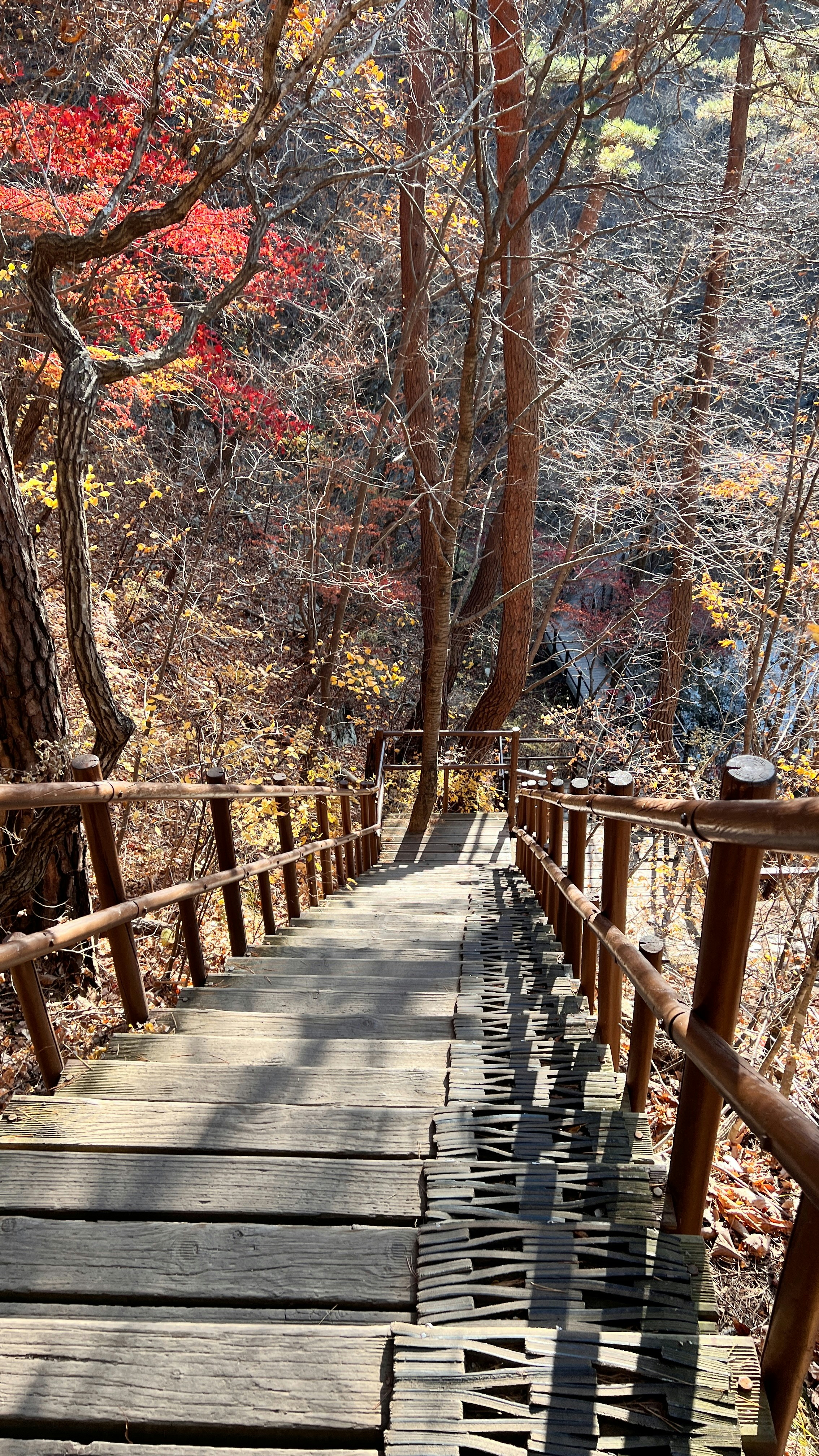 Henn Lee (@38henn) | Unsplashフォトコミュニティ