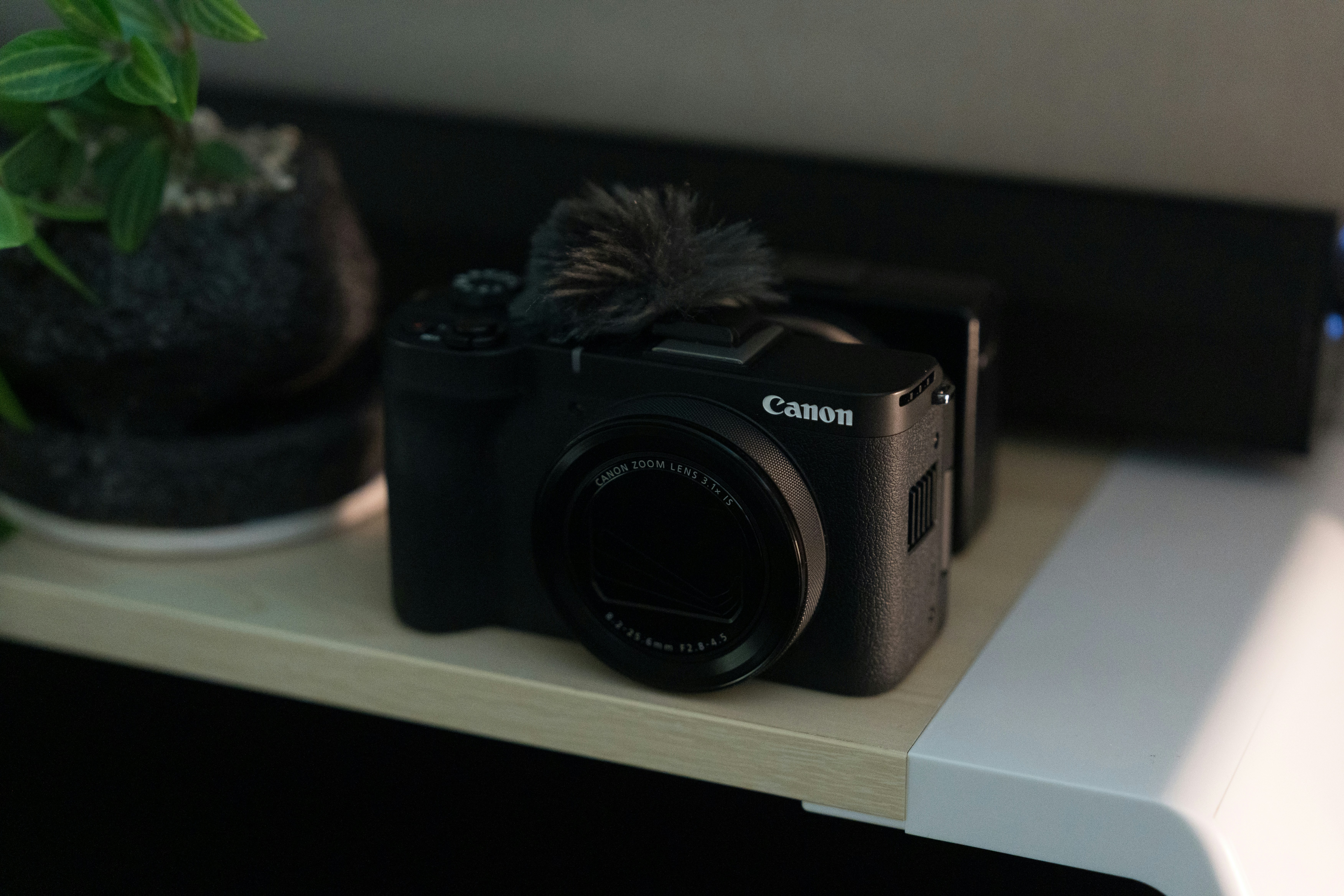 Photo by rawkkim with Sony FX2