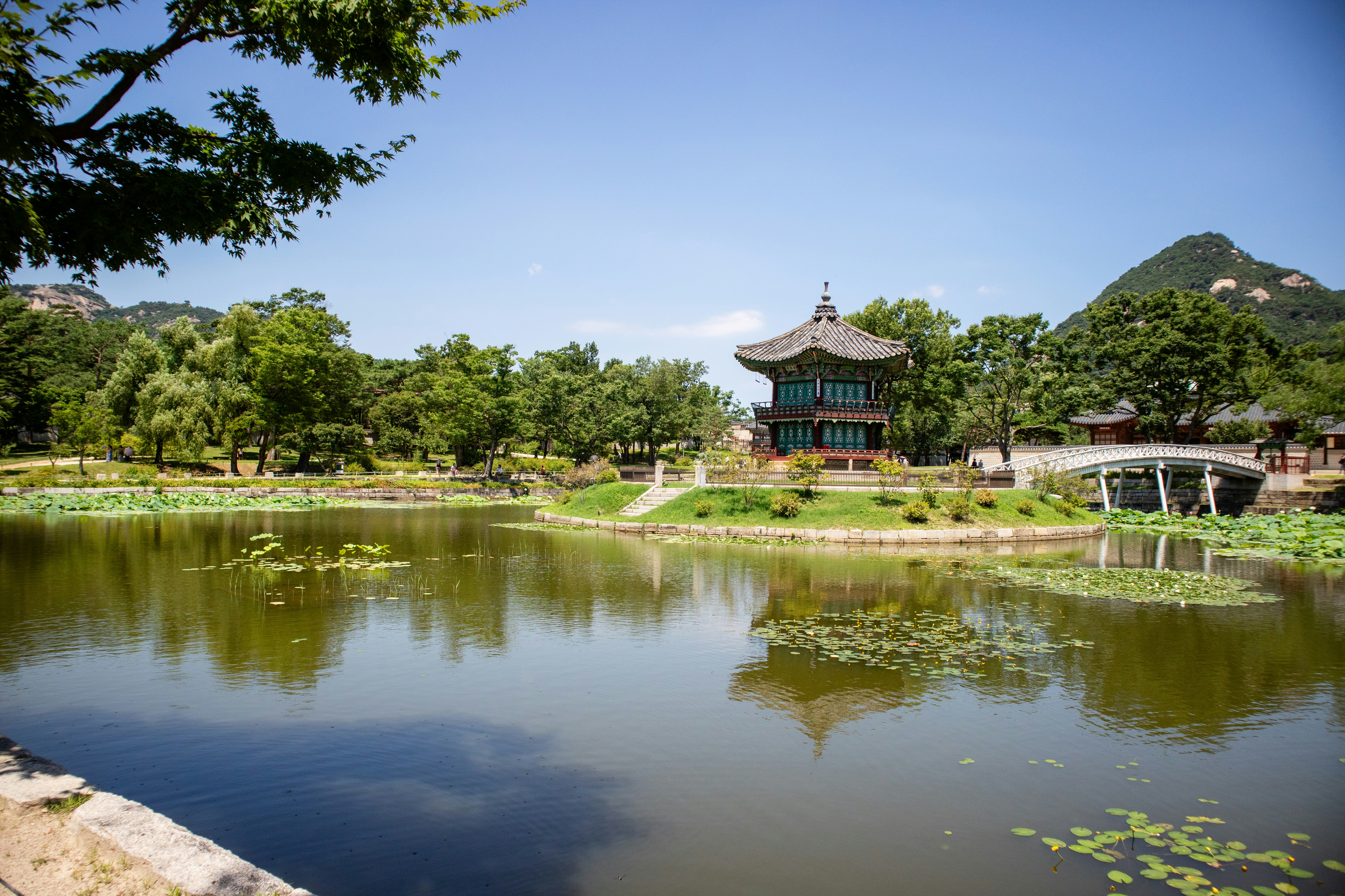 Timo Mäkeläinen (@timomakelainen) | Komunitas Foto Unsplash