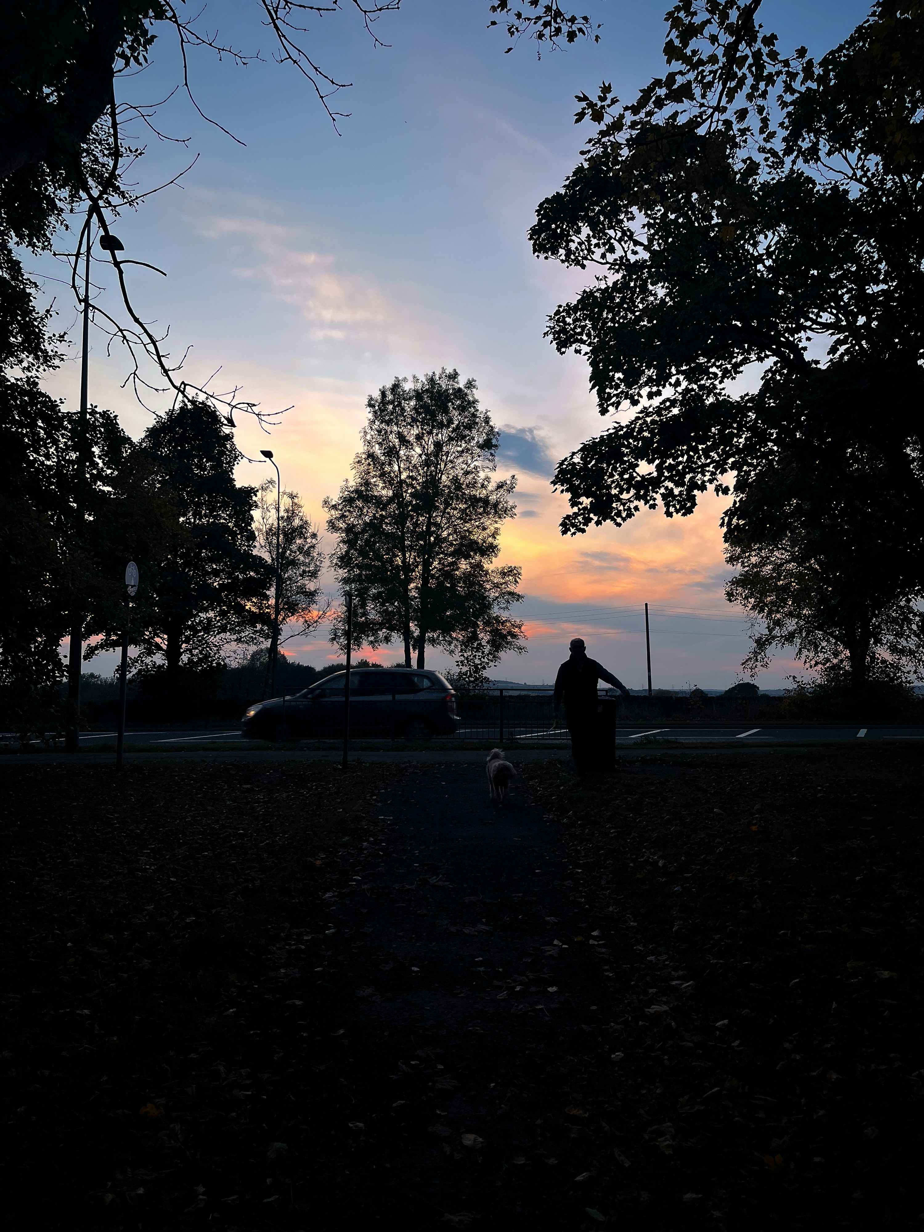Dusk Stroll by the Quiet Water with a Dog and Companion