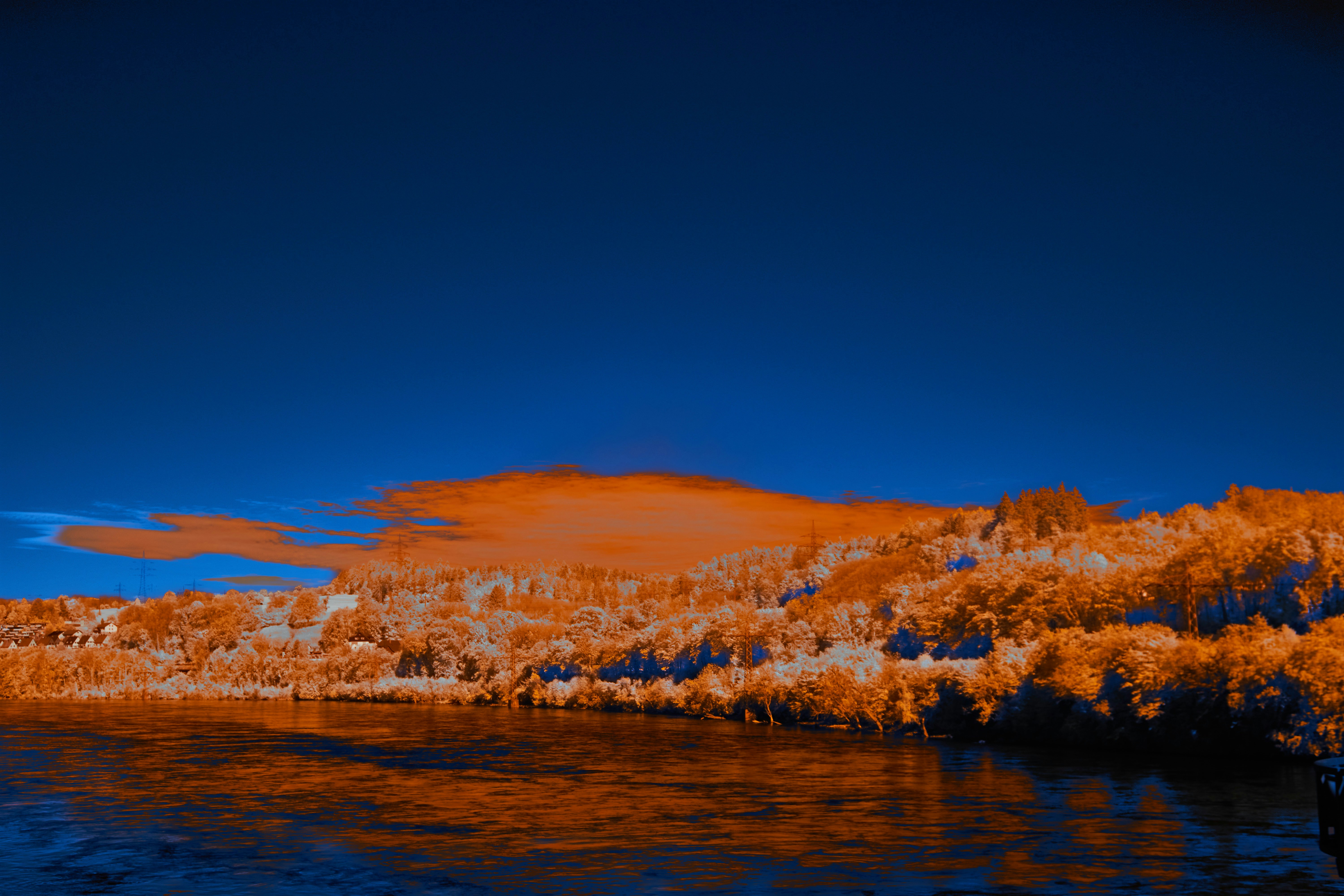 Photo by Wolfgang Hasselmann with Sony Alpha 7 II