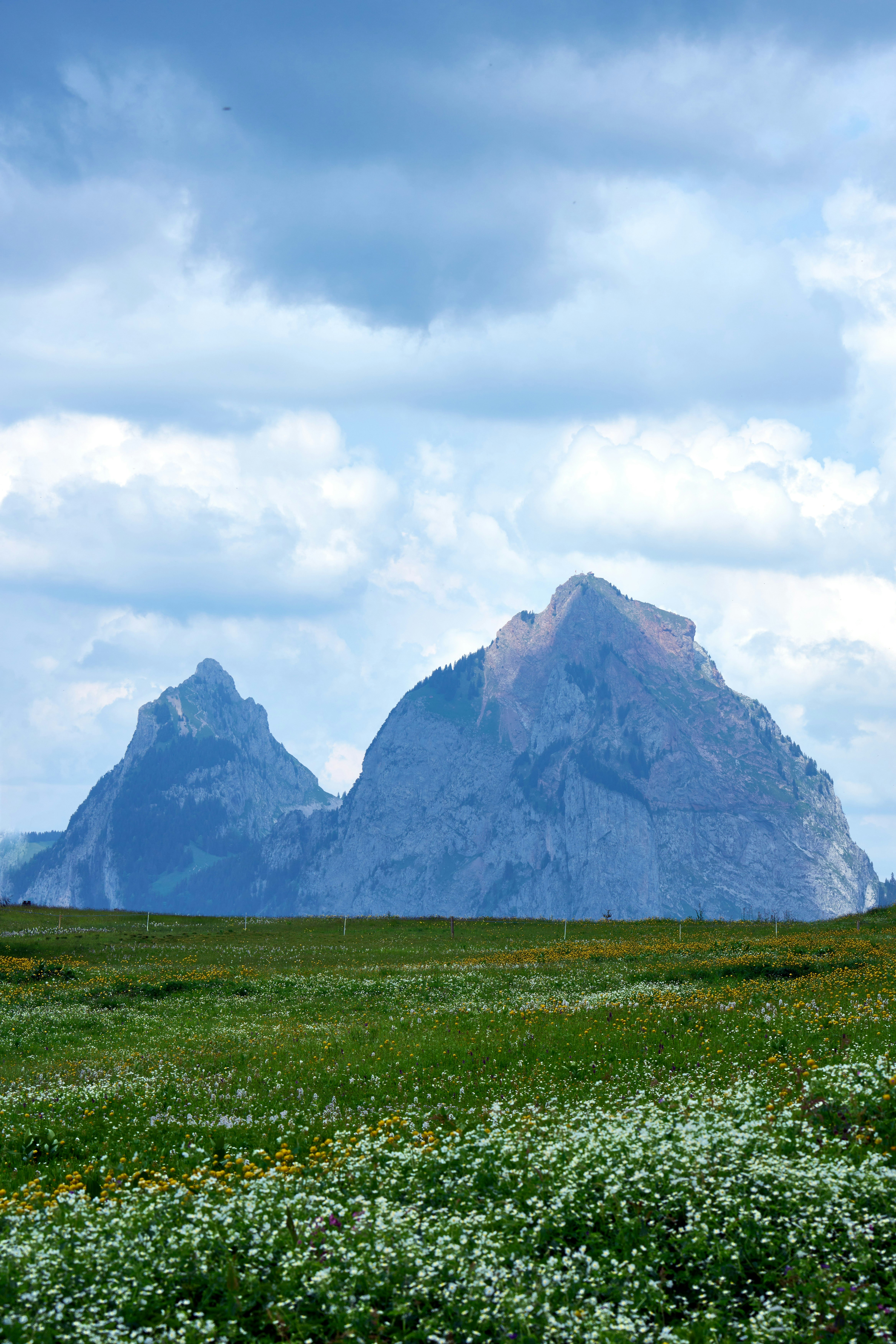 Photo by Wolfgang Hasselmann with Sony Alpha 7 IV