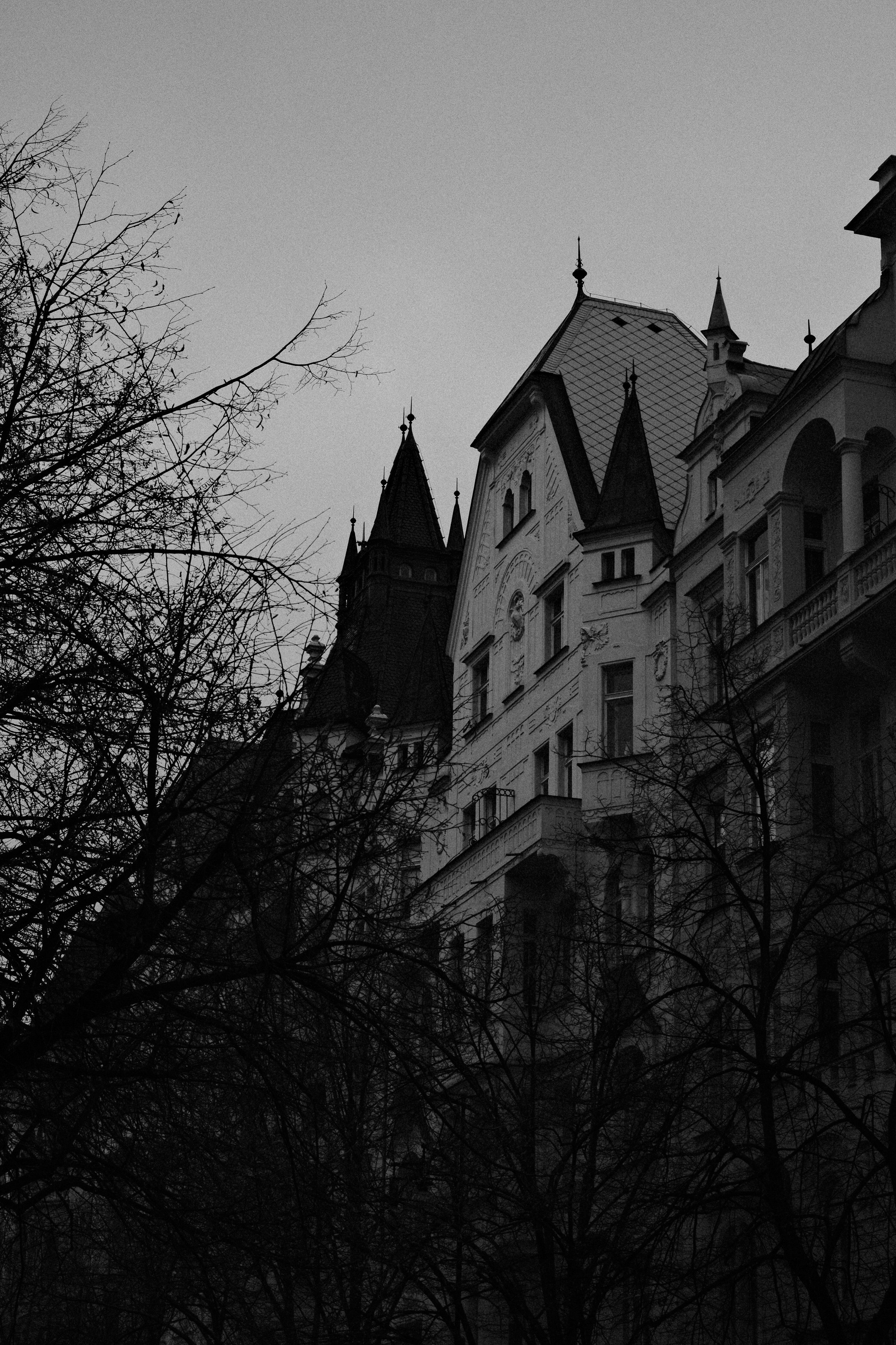 Gothic Towers Over Winter Blooming in Shadowed Streets
