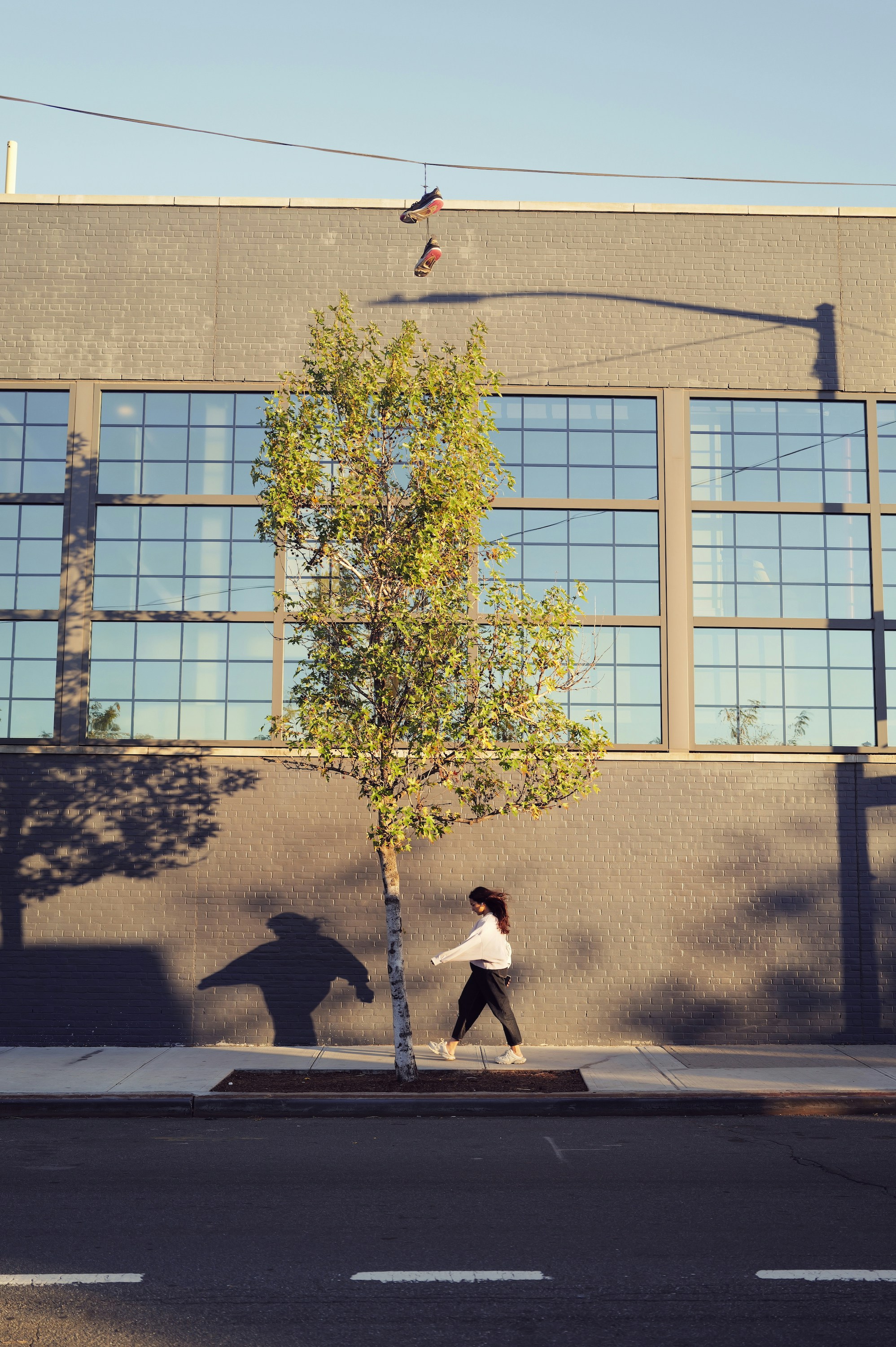 Running Shadows and Hanging Birds