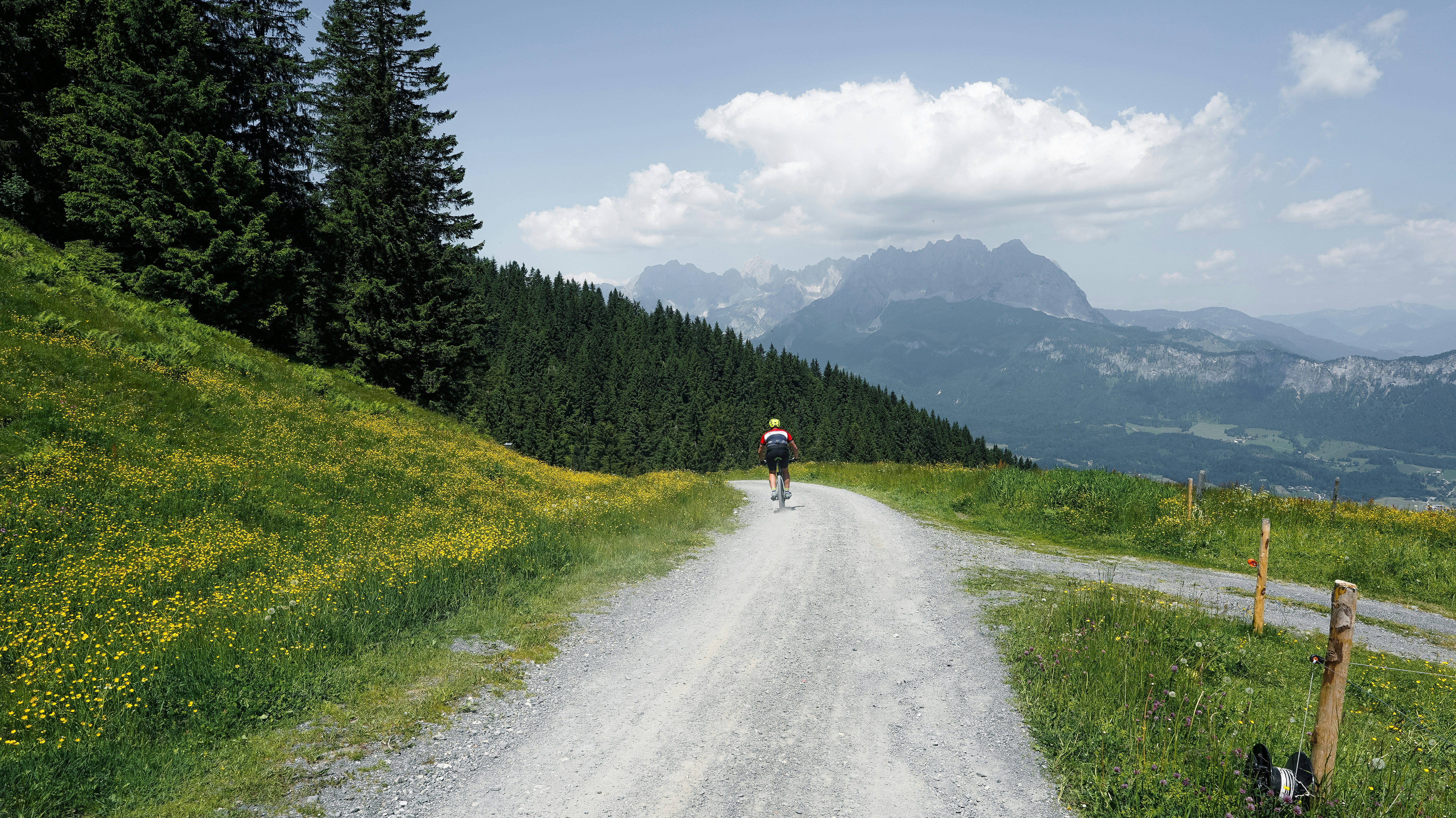 Photo by Wolfgang Weiser with Sony Alpha 7 III