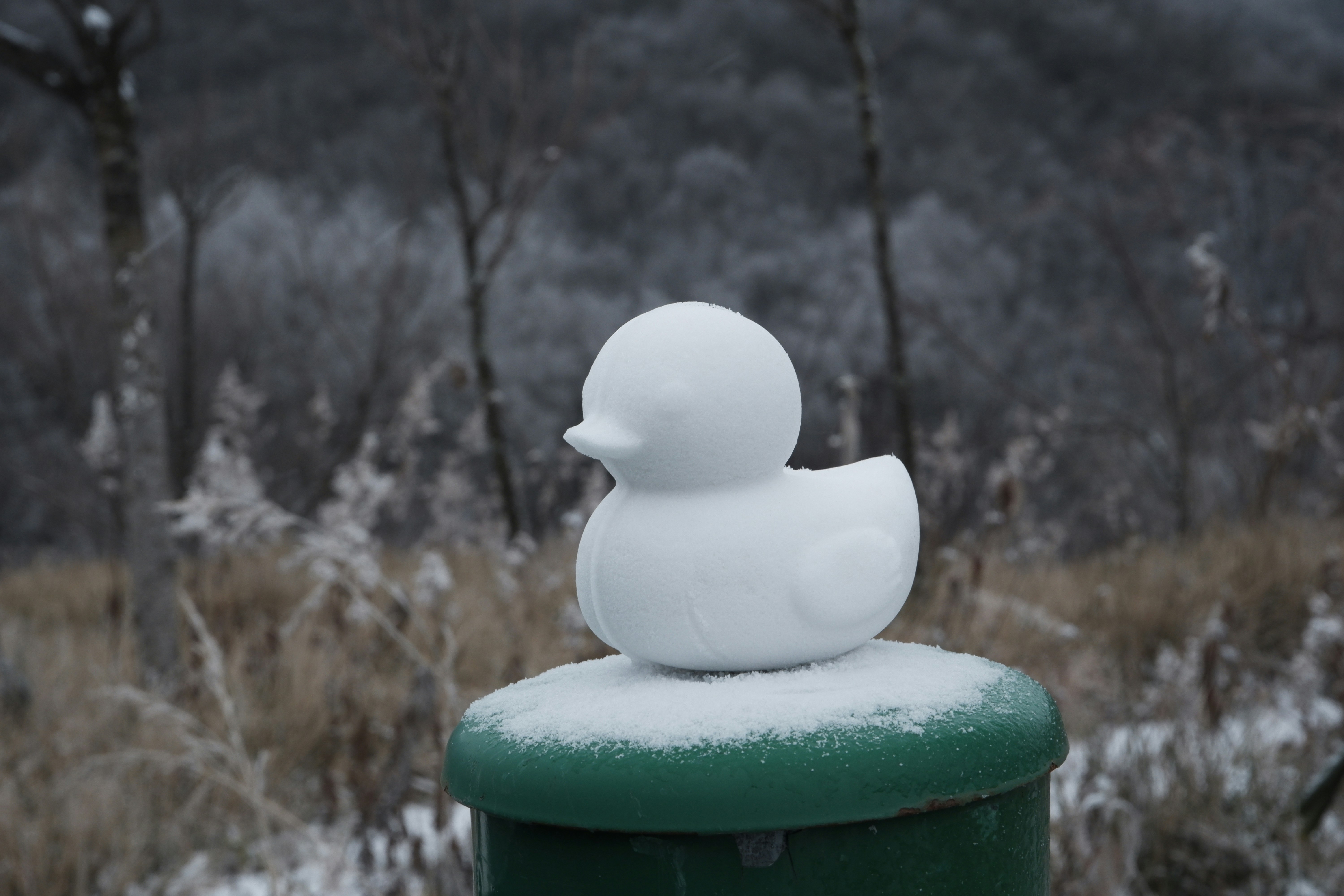 Snowy Duck on a Green Pedestal in a Quiet Winter Field