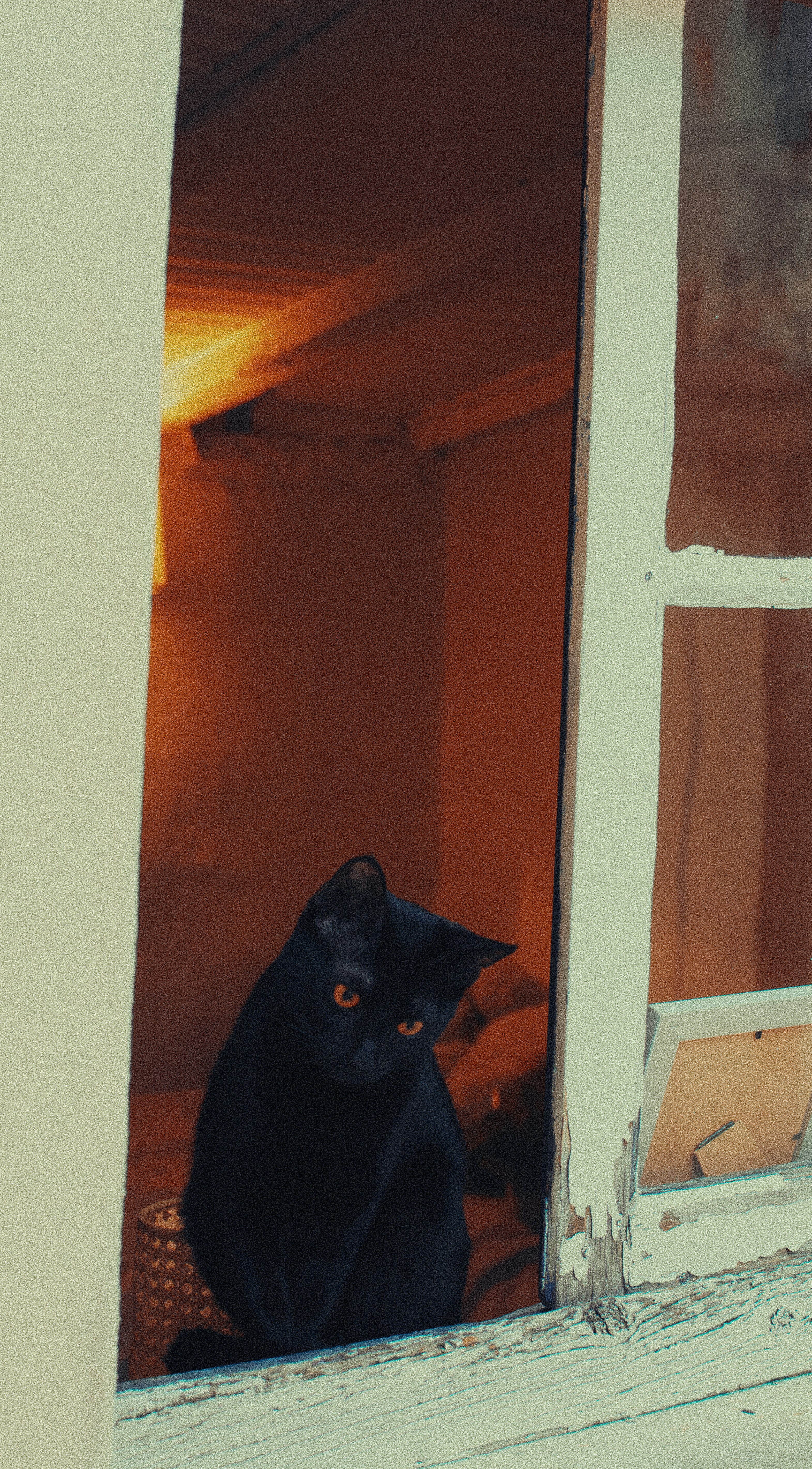 Midnight Observer: A Black Cat at the Window