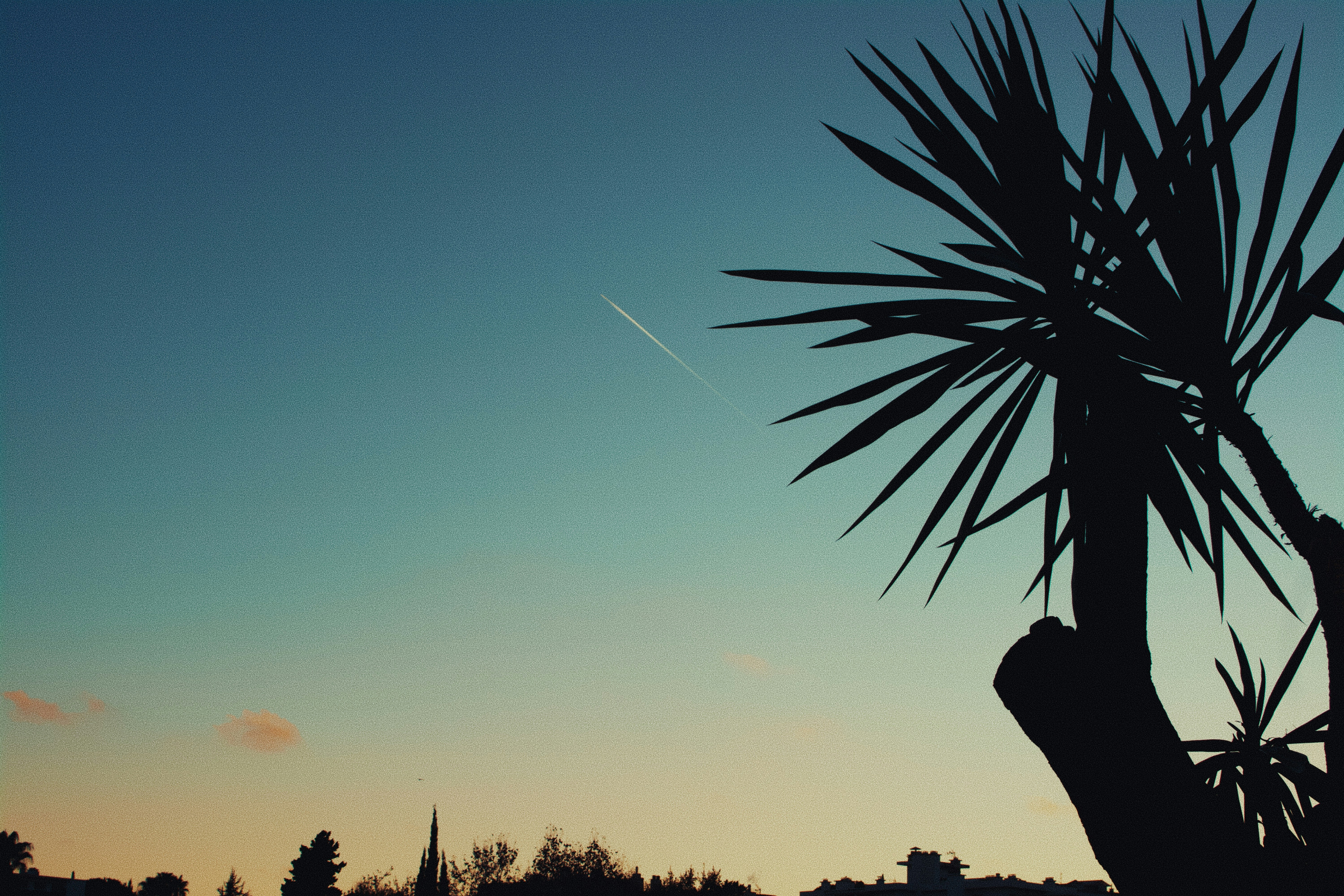 Silhouette Saga at Sundown