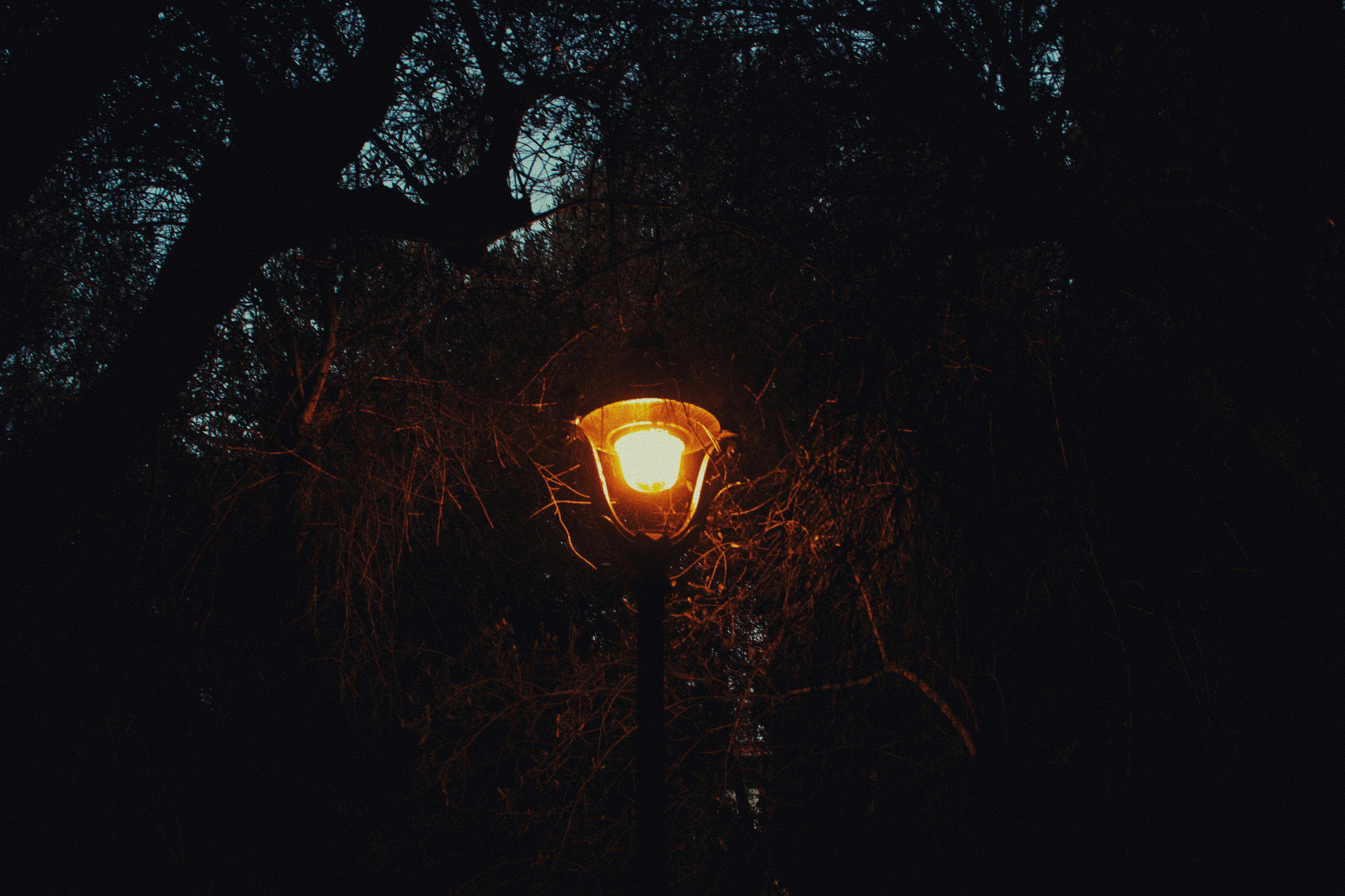 Moonlit Lantern: A solitary glow in the darkened park