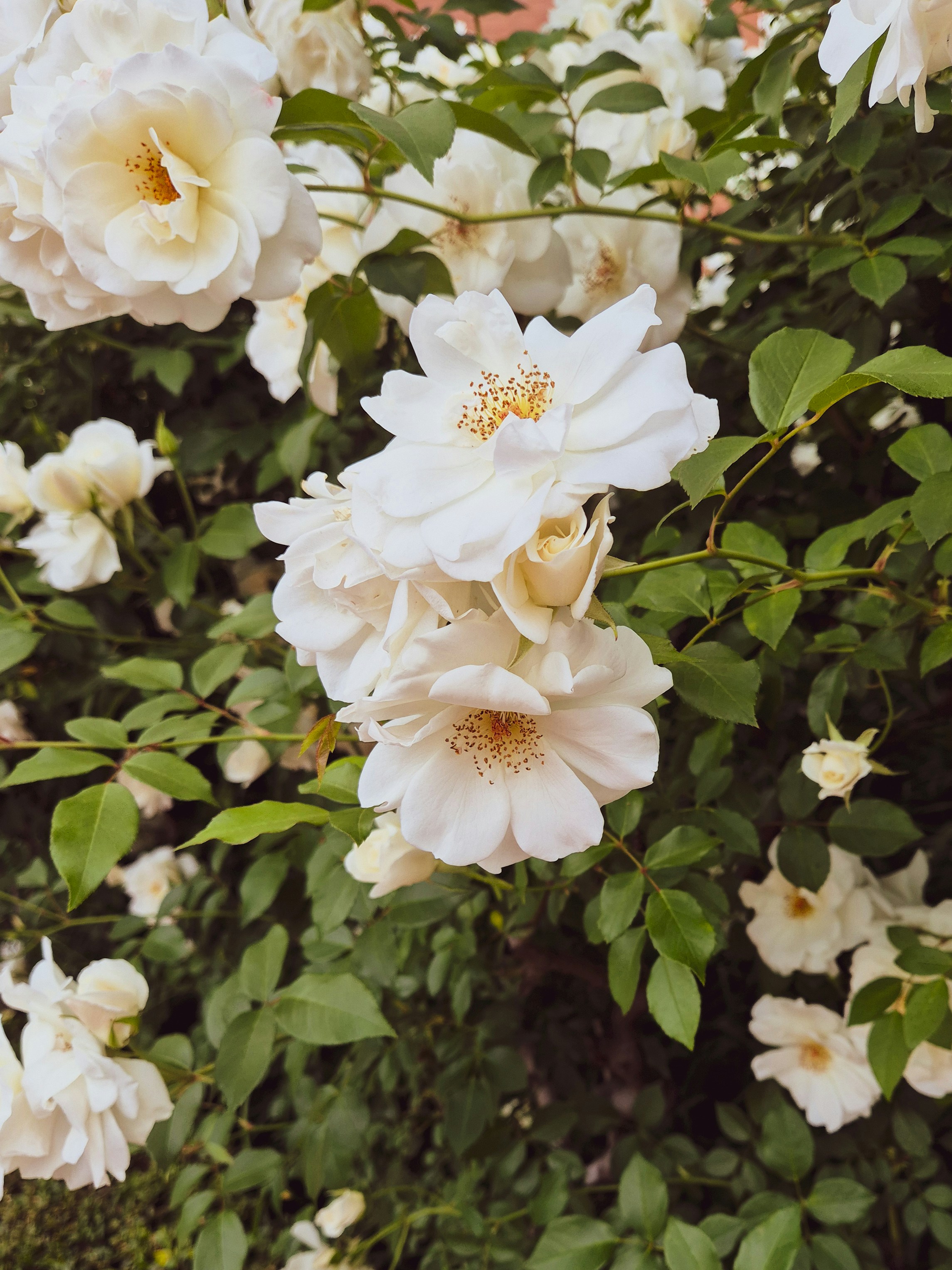 Jessami van der Merwe (@jessami_vandermerwe) | Komunitas Foto Unsplash