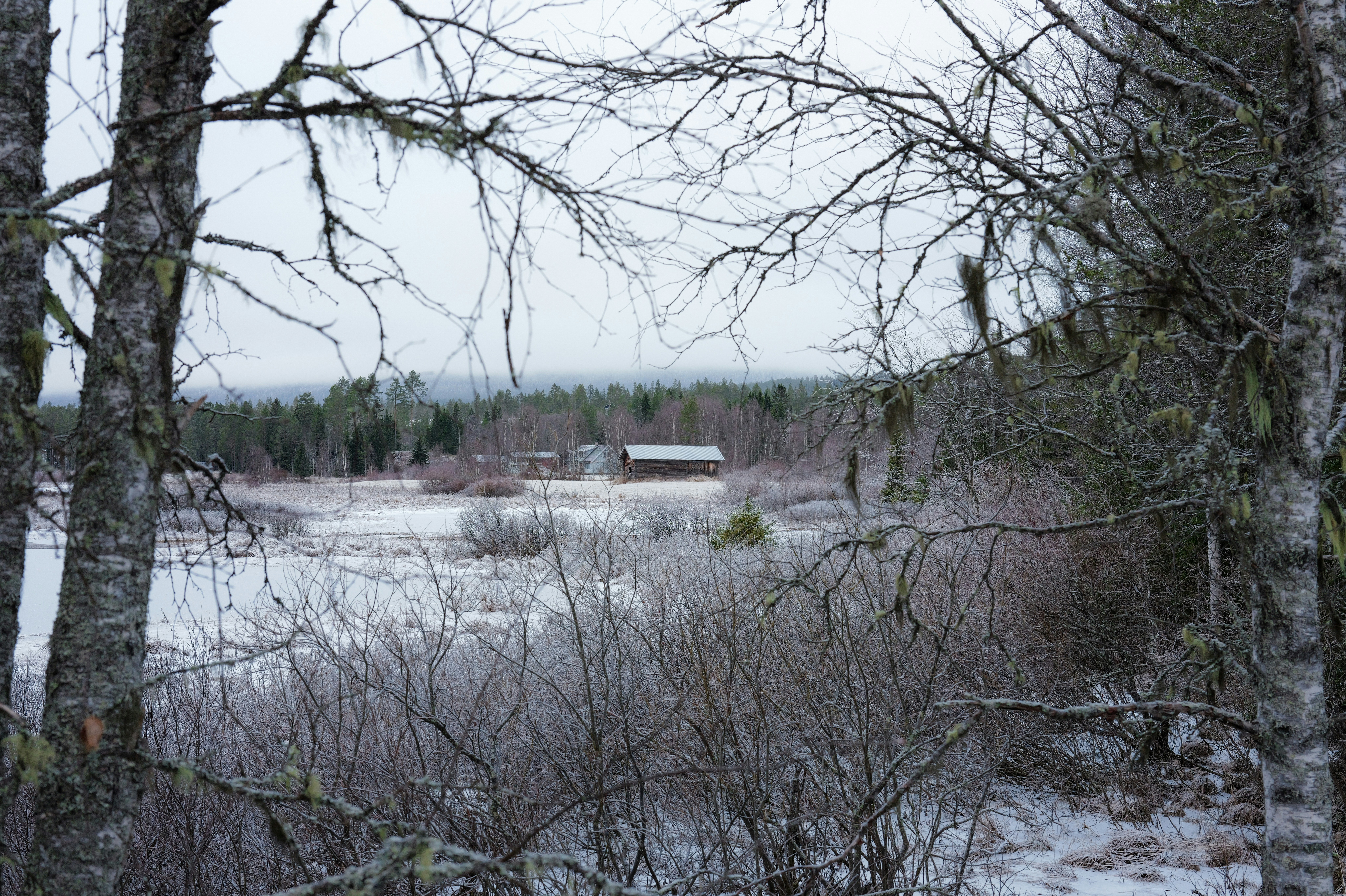 Photo by Sijmen van Hooff with Leica Q3 43