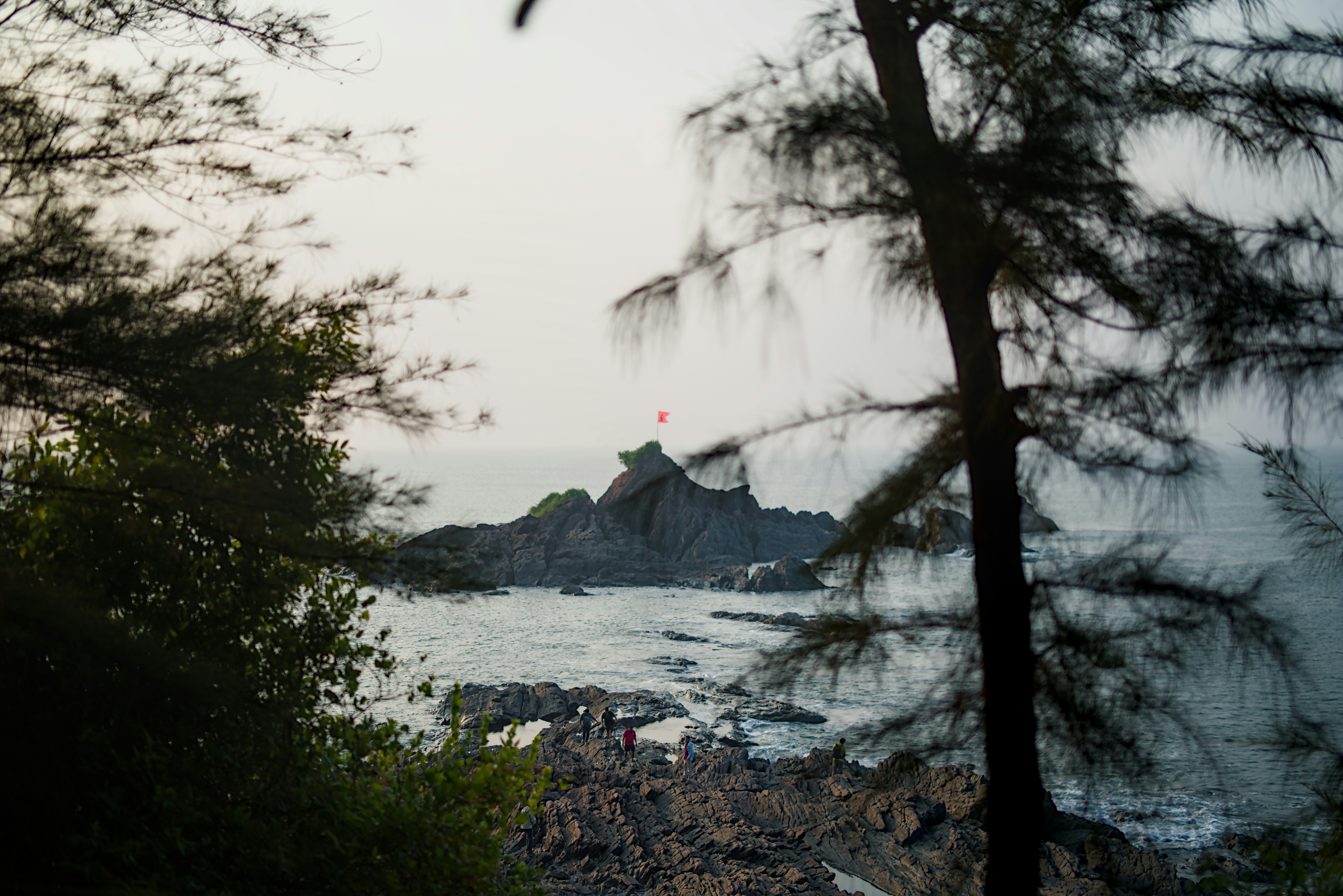 Isla rocosa con árboles en la orilla foto – Imagen de Mar gratuita en ...