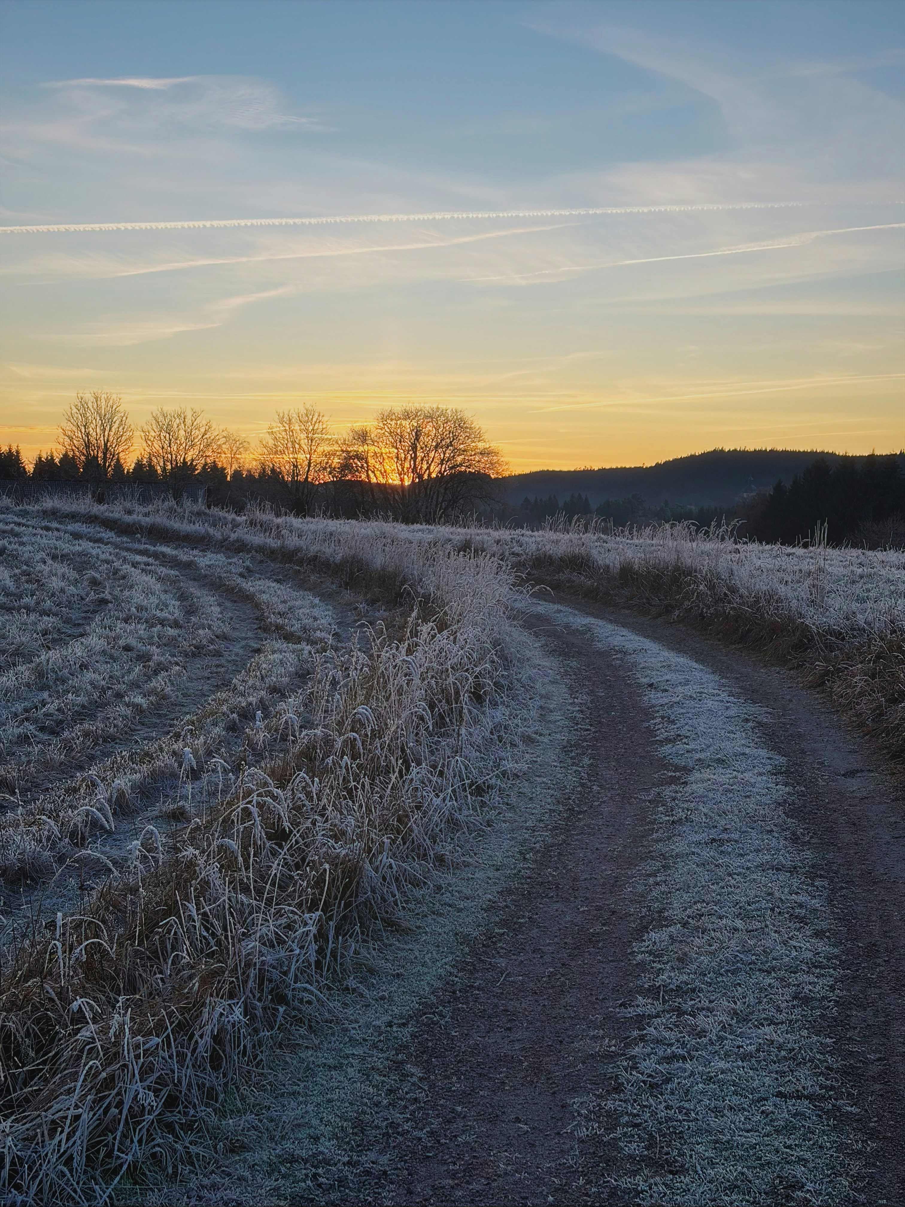 Sun is setting over a frozen field with a road winding through it and towards a forest beyond.