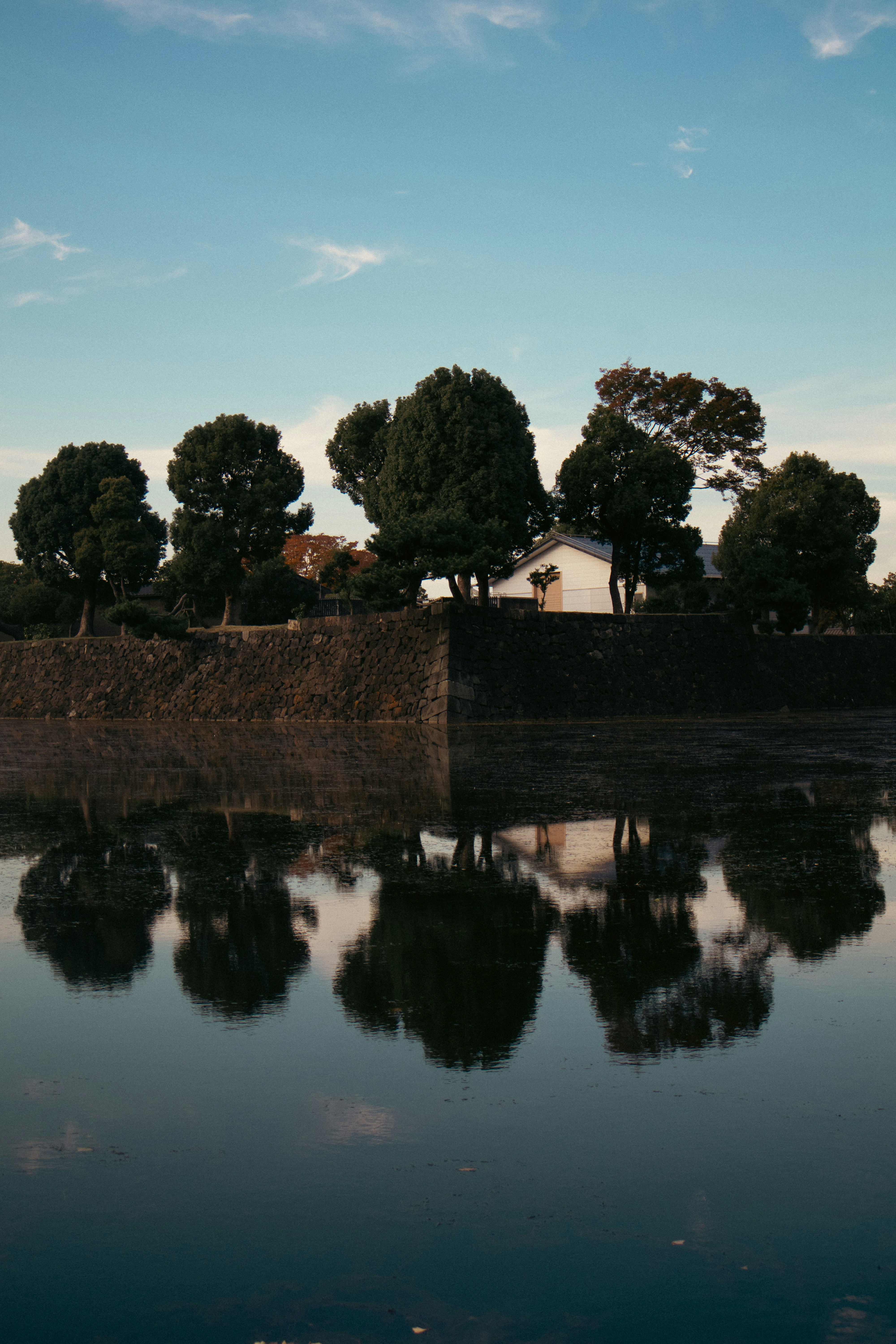 Quiet Riverside Villa: Trees, Wall, and Reflection