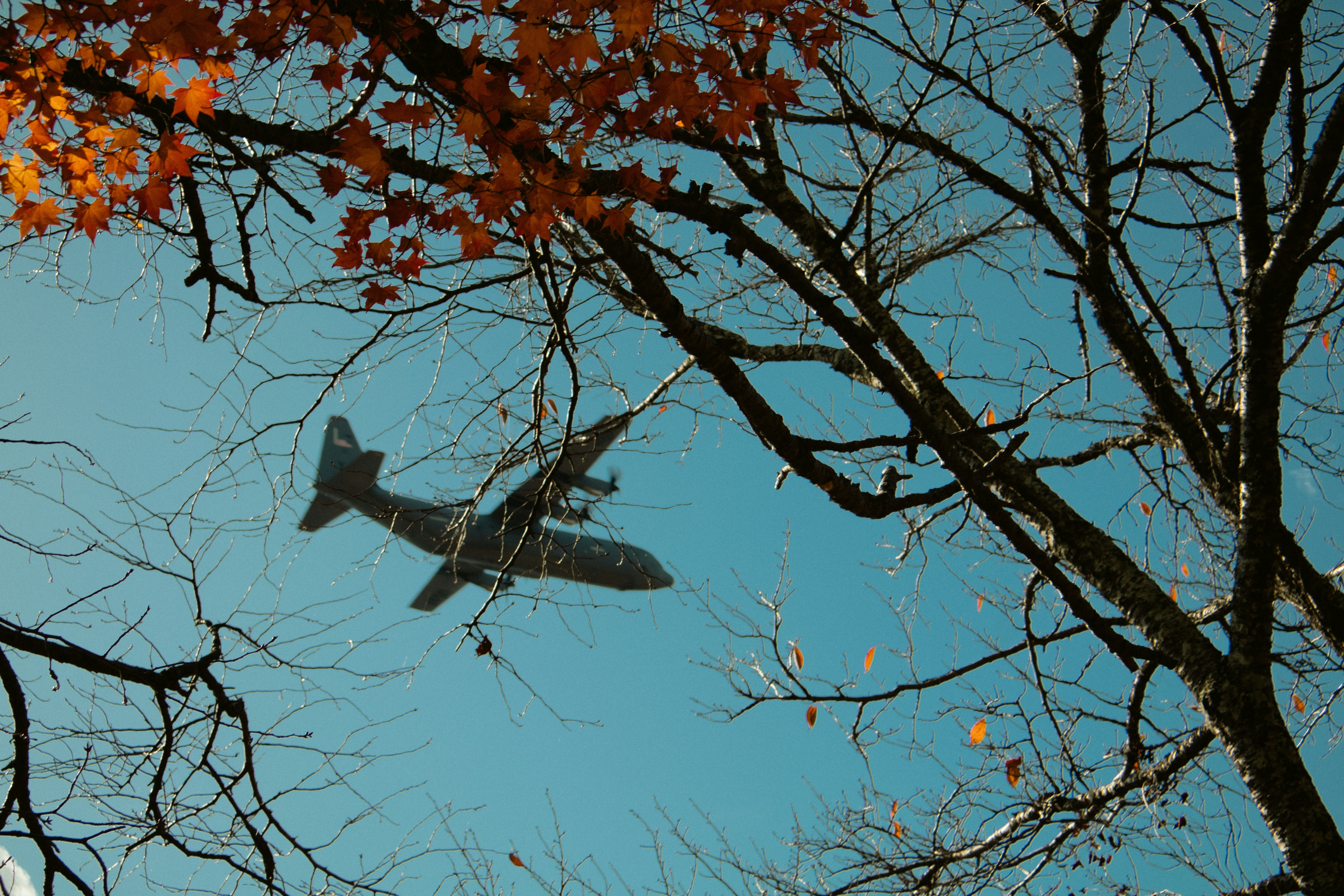 Silent Intruder: A Suspending Jet Rounds the Branches