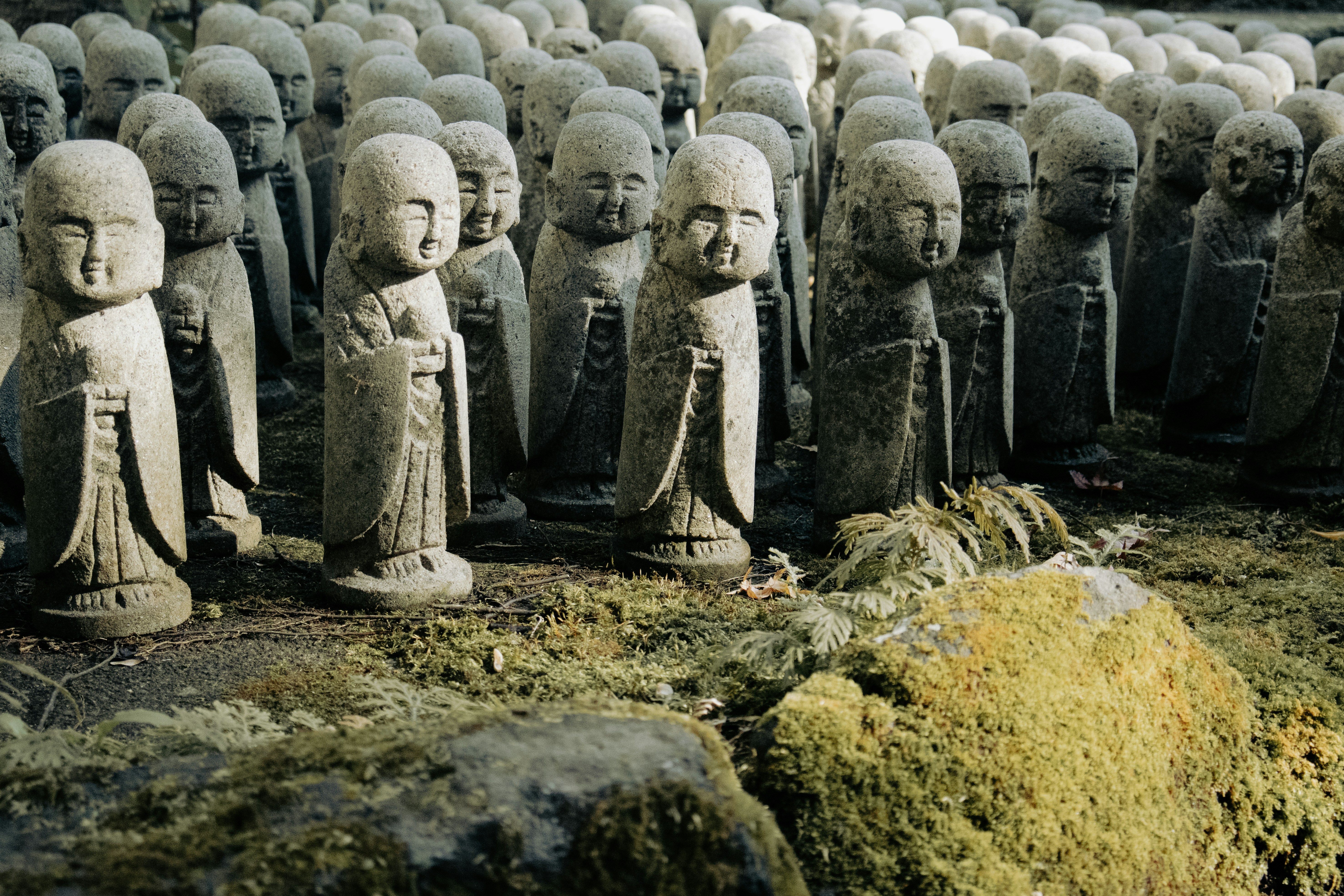 Silent Row: Stone Figures in a Mossy Field