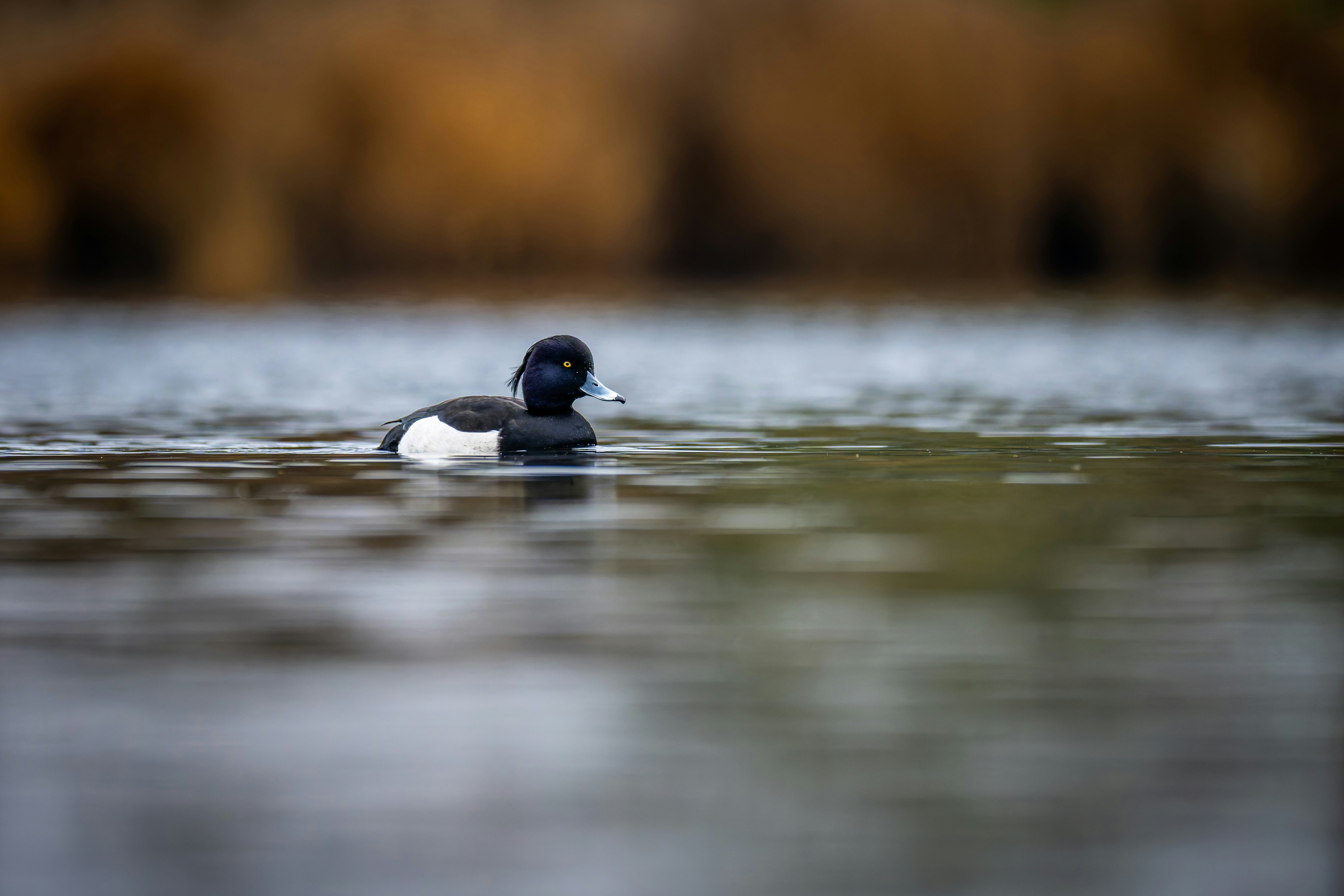 Photo by Doncoombez with Nikon Z9