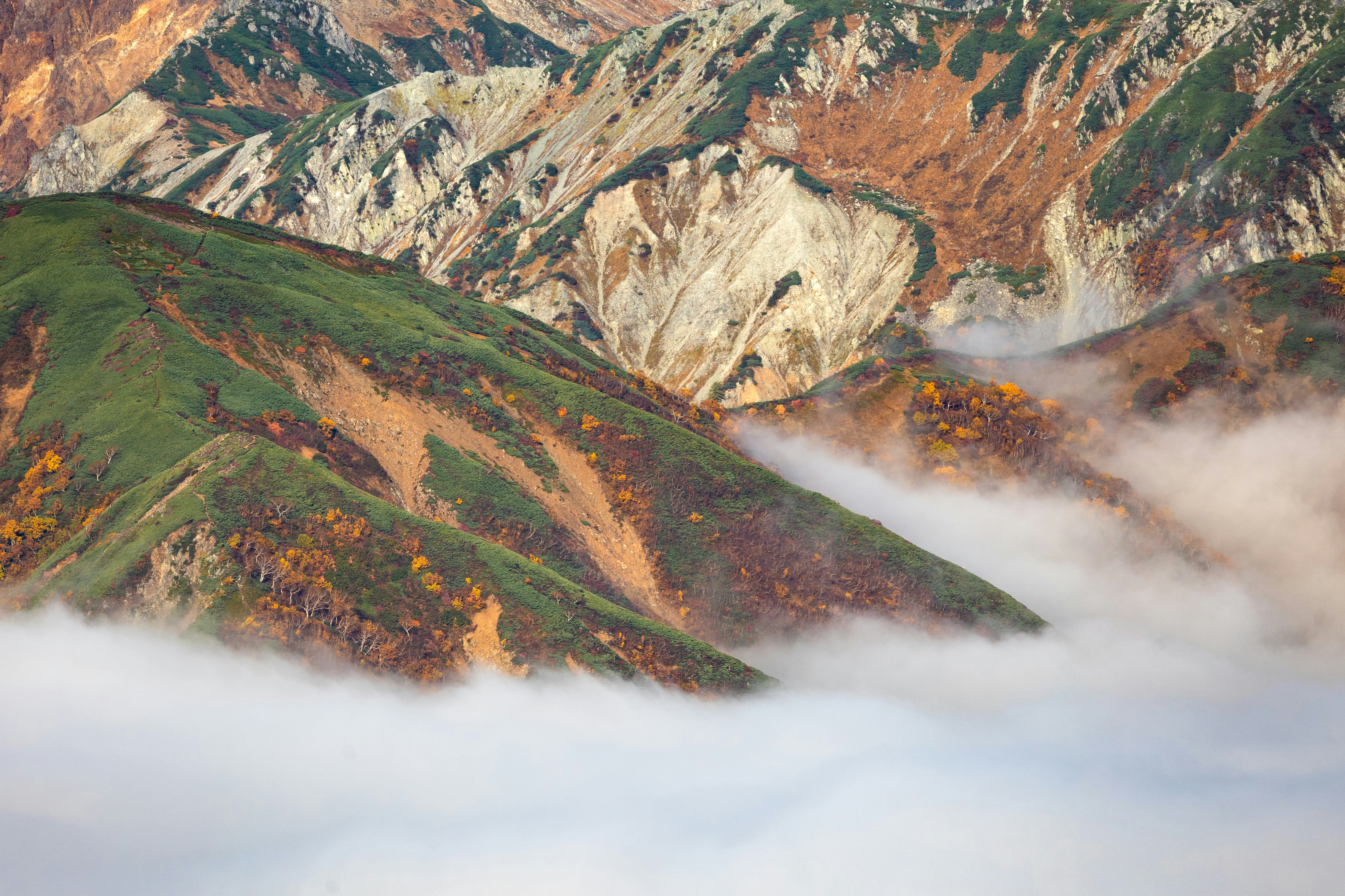 Mist-Wrapped Ridge: Colors of a Mountain Pass