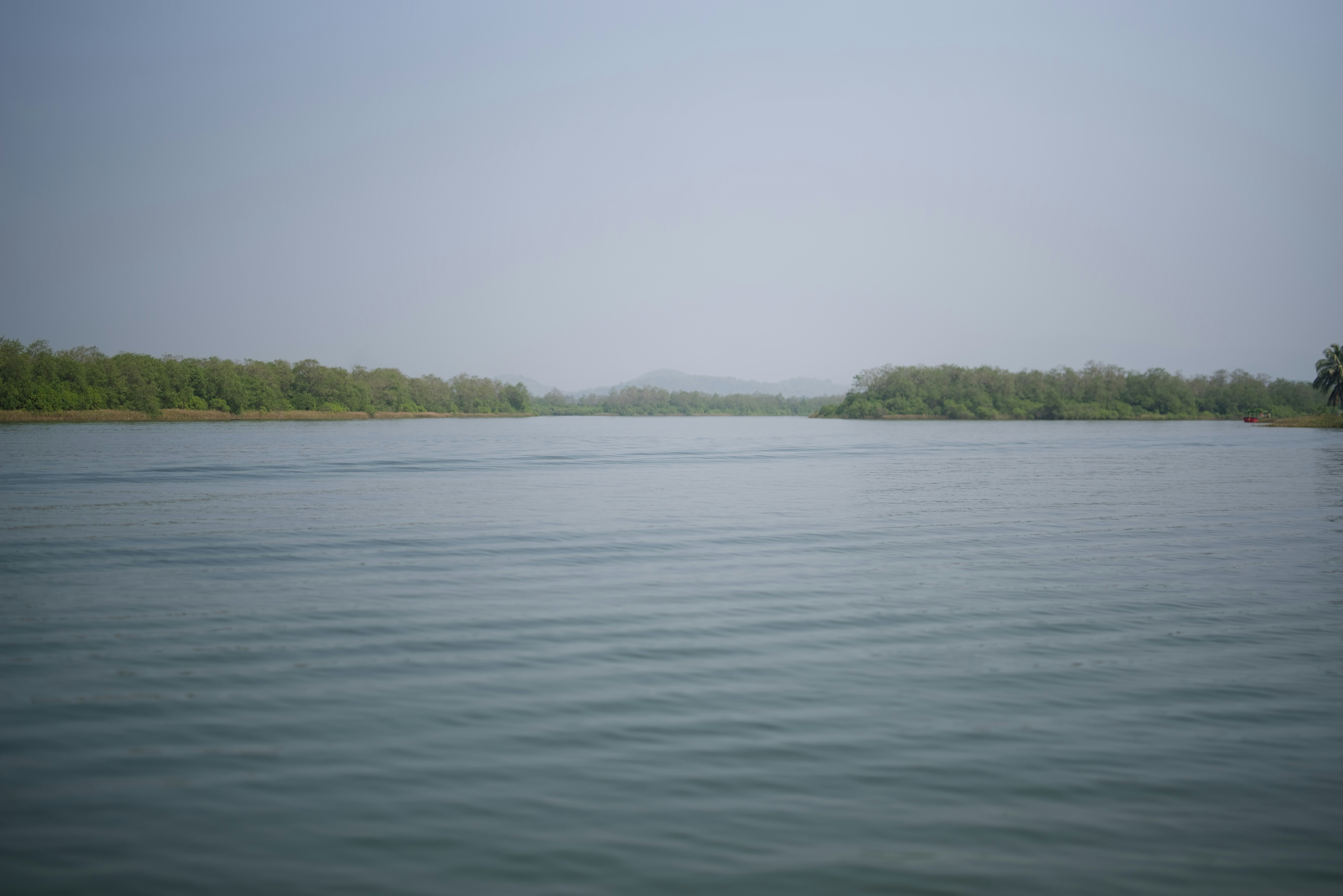 Photo by Satish Dharmavarapu with Pentax K-1 Mark II