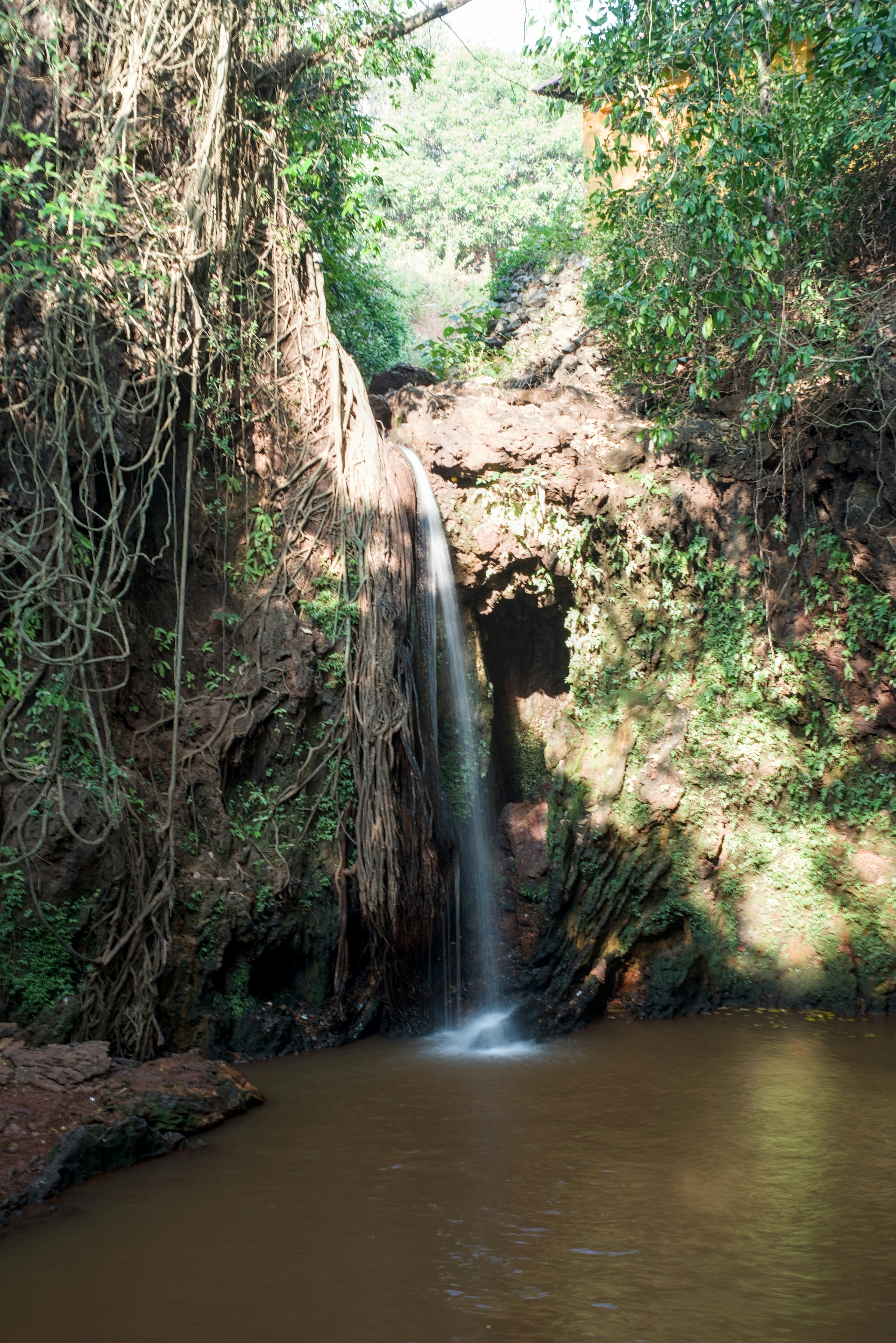 Secret Cascade: A Narrow Waterfall Hidden Between Vines