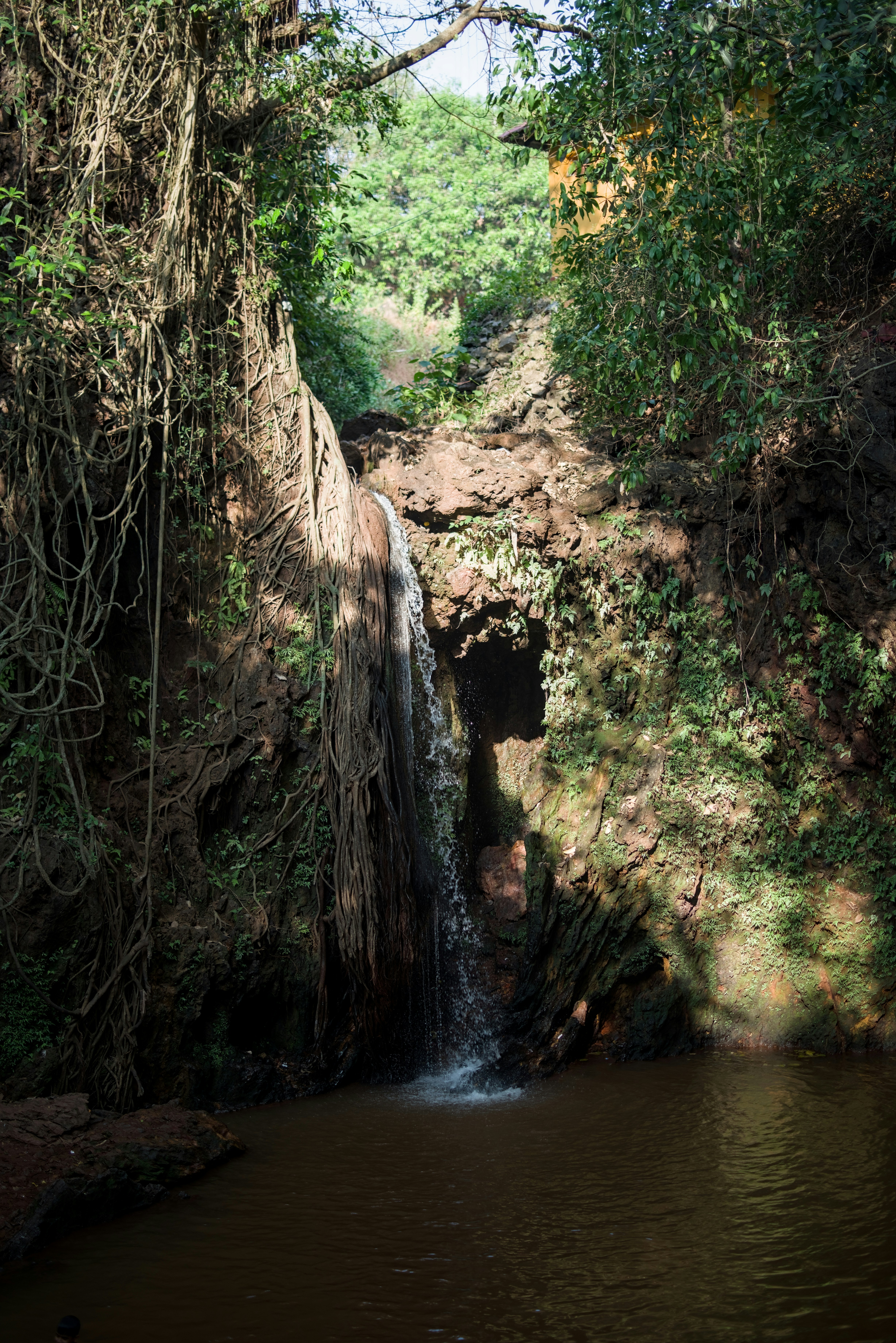 Photo by Satish Dharmavarapu with Pentax K-1 Mark II
