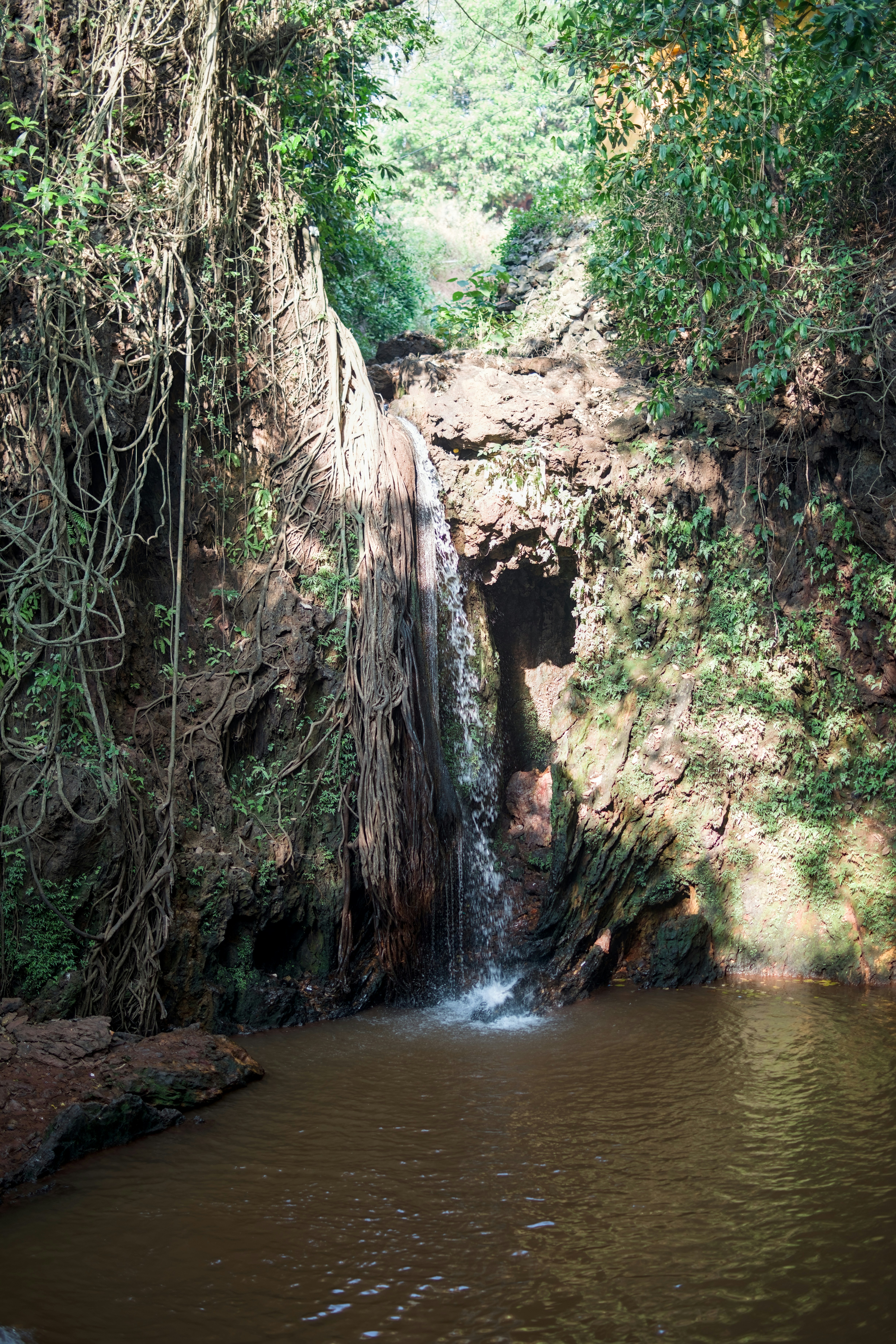 Hidden cascade in a jungle canyon
